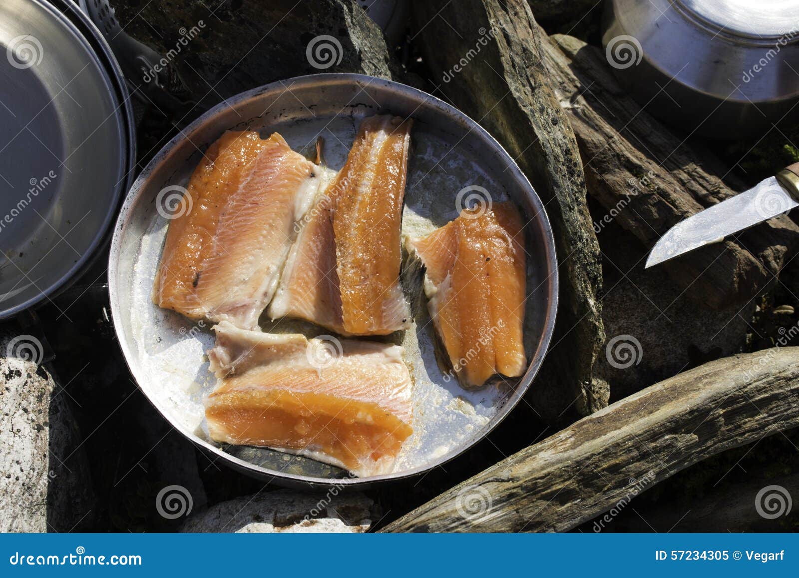 Fresh fish cooking stock image. Image of health, fishing - 57234305