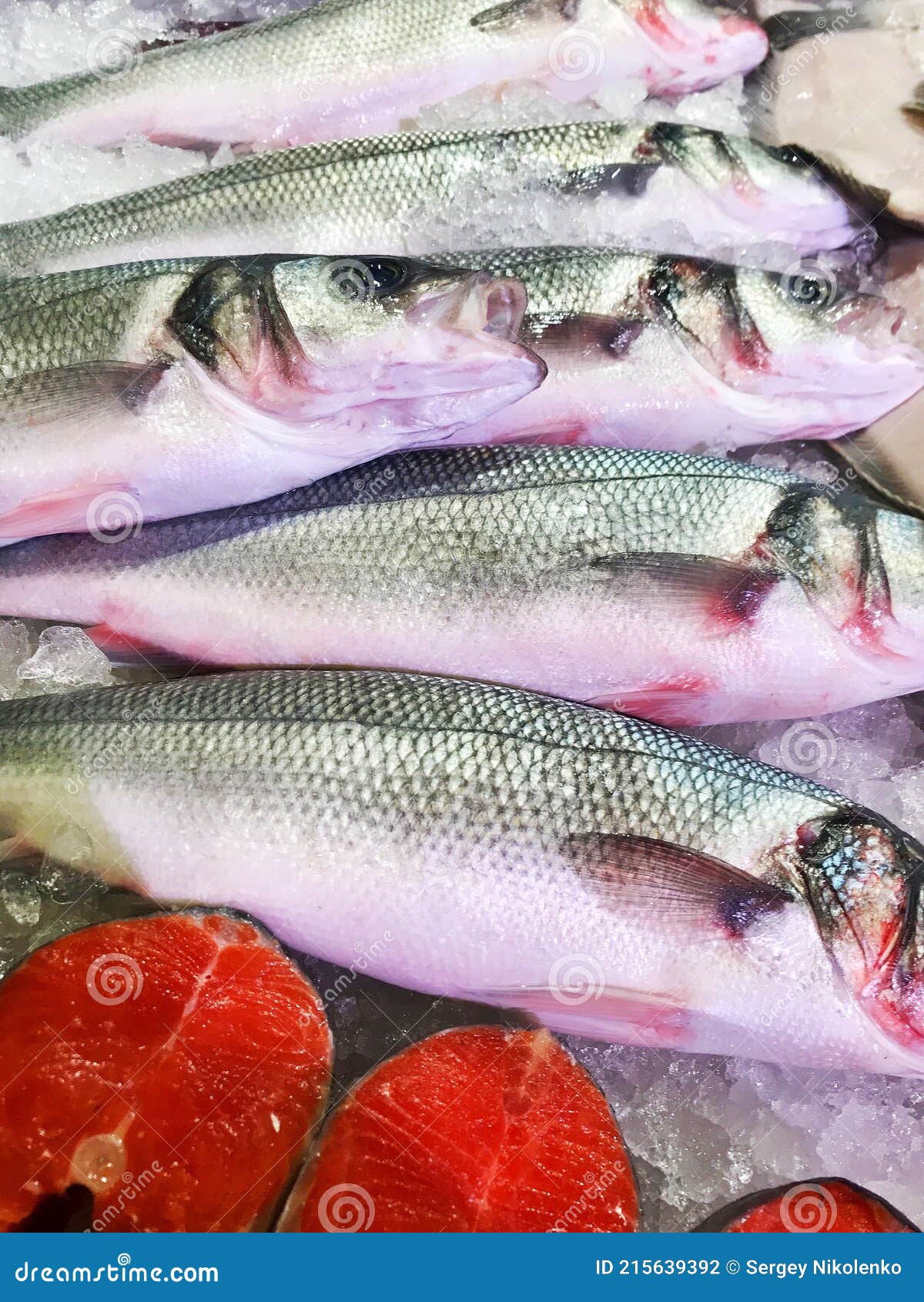 Fresh Fish on the Counter at a Fish Store Stock Photo - Image of catch ...