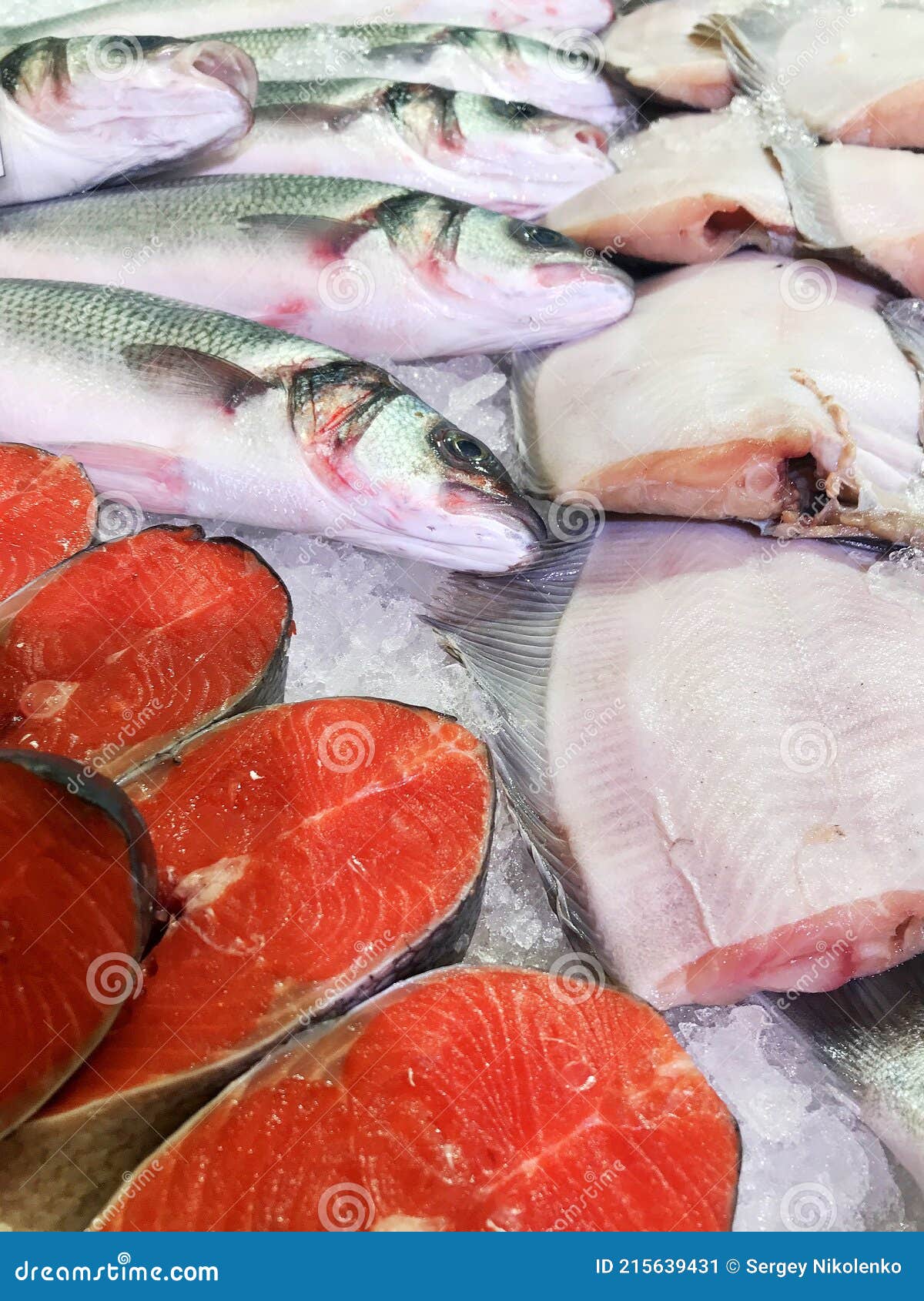 Fresh Fish on the Counter at a Fish Store Stock Image - Image of bream ...