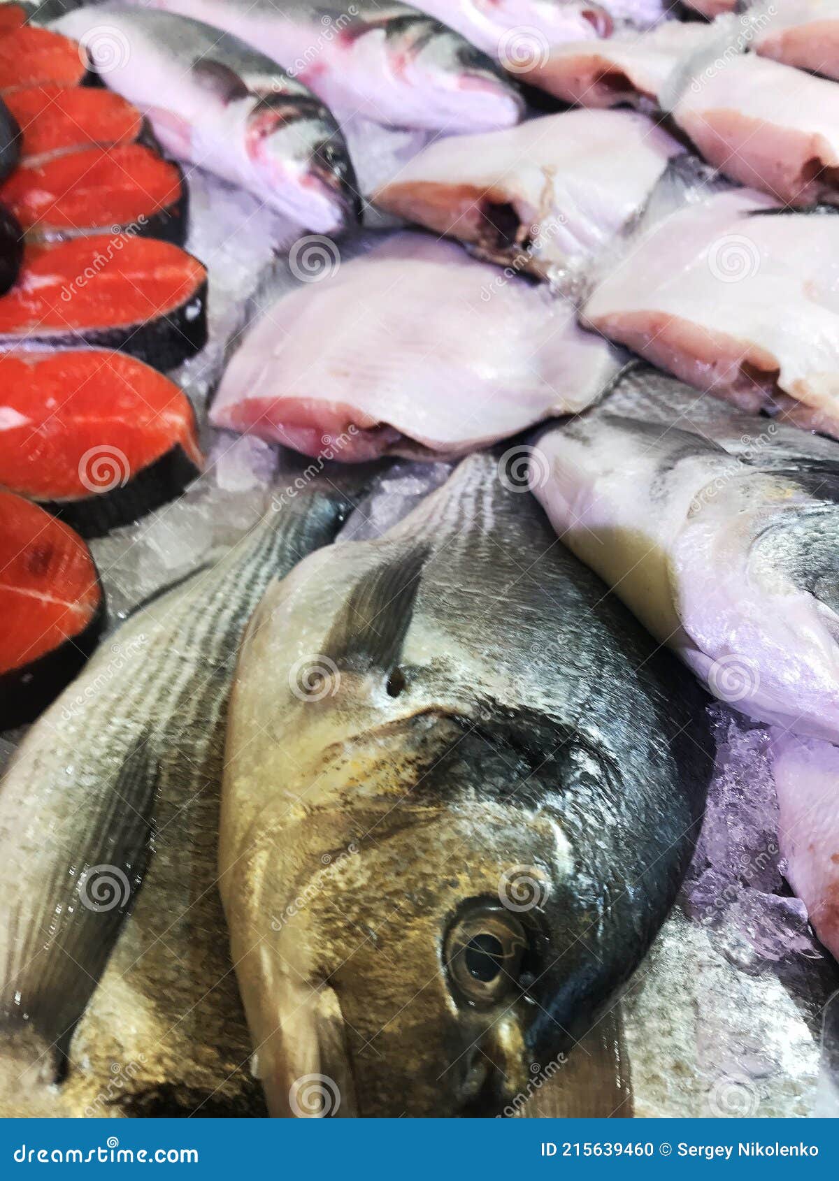 Fresh Fish on the Counter at a Fish Store Stock Photo - Image of black ...