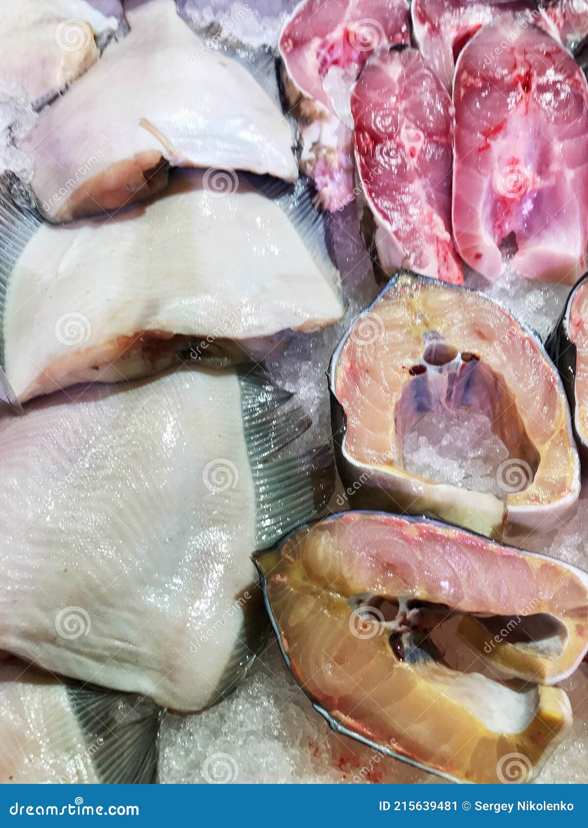 Fresh Fish on the Counter at a Fish Store Stock Image - Image of frozen ...