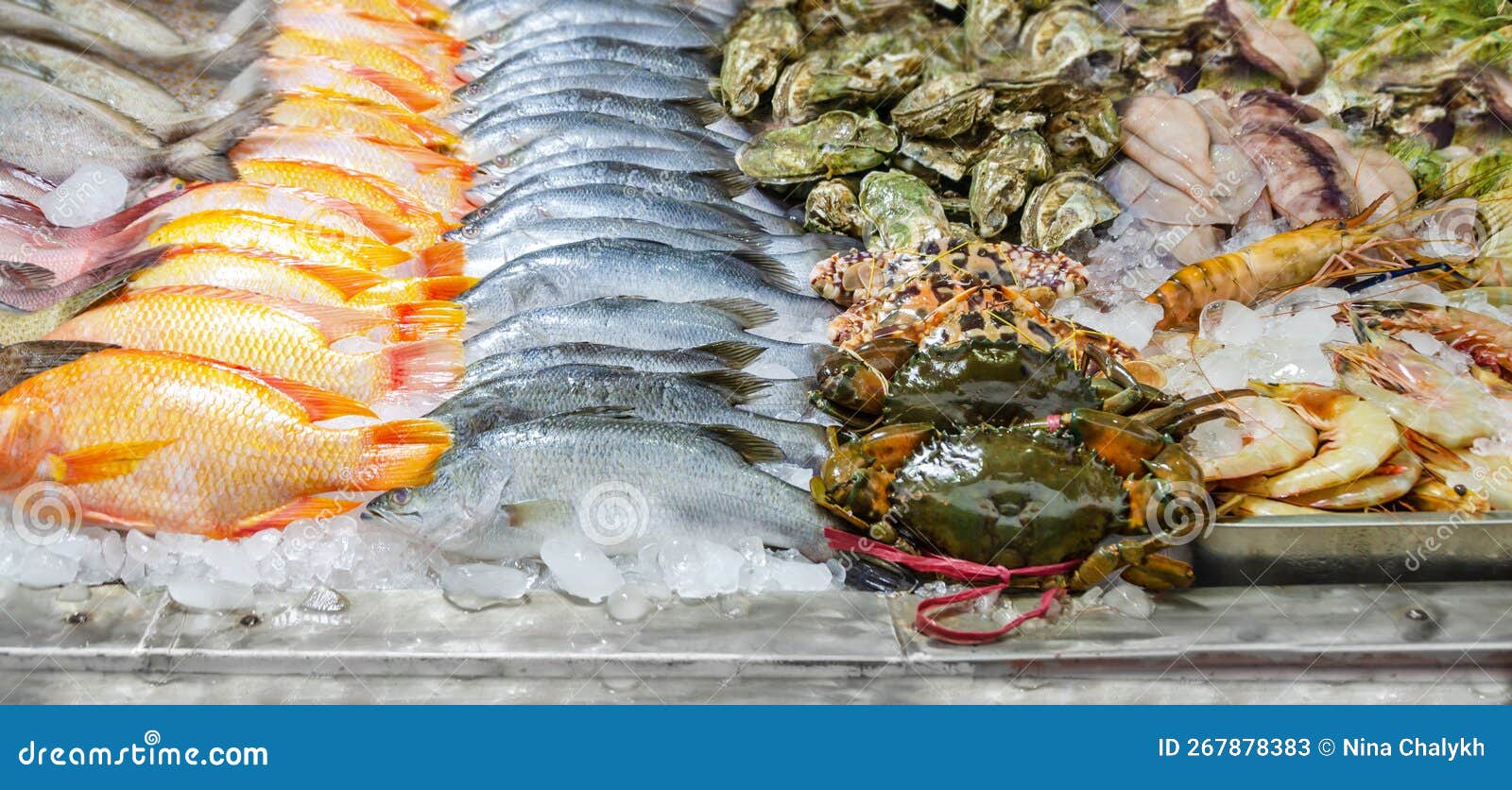 Fresh Fish on Counter of a Seafood Restaurant. Different Types of ...