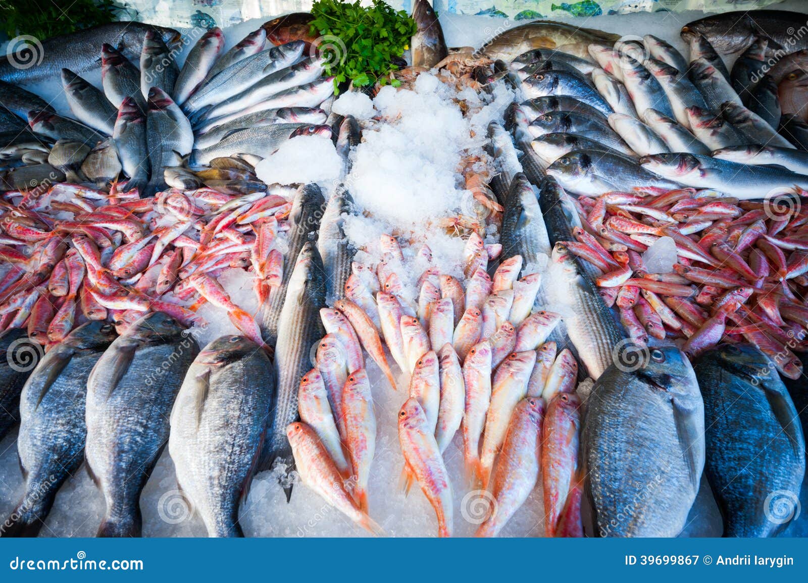 Fresh Fish stock image. Image of food, seafood, turkey - 39699867