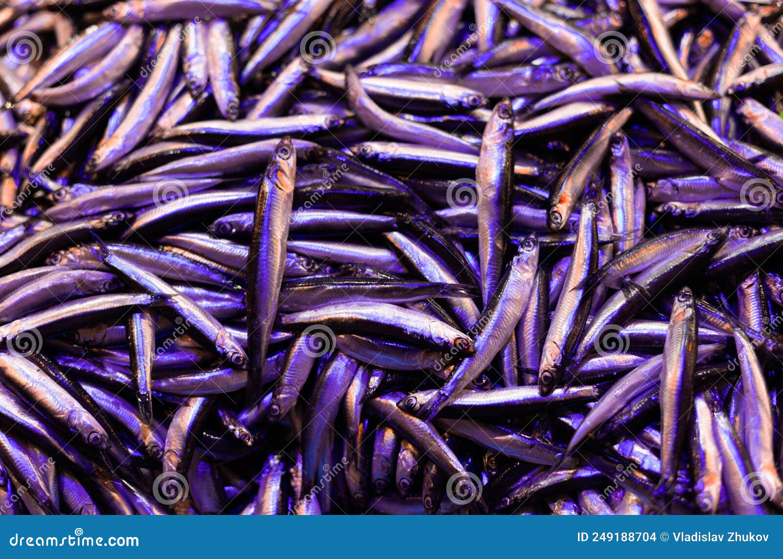 Fresh Fish on the Counter of the Store Stock Photo - Image of natural ...
