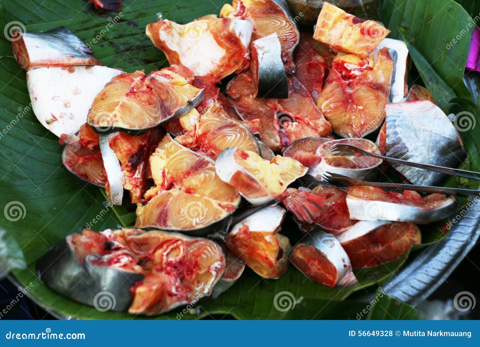 Fresh fish stock photo. Image of nature, fish, fishing - 56649328