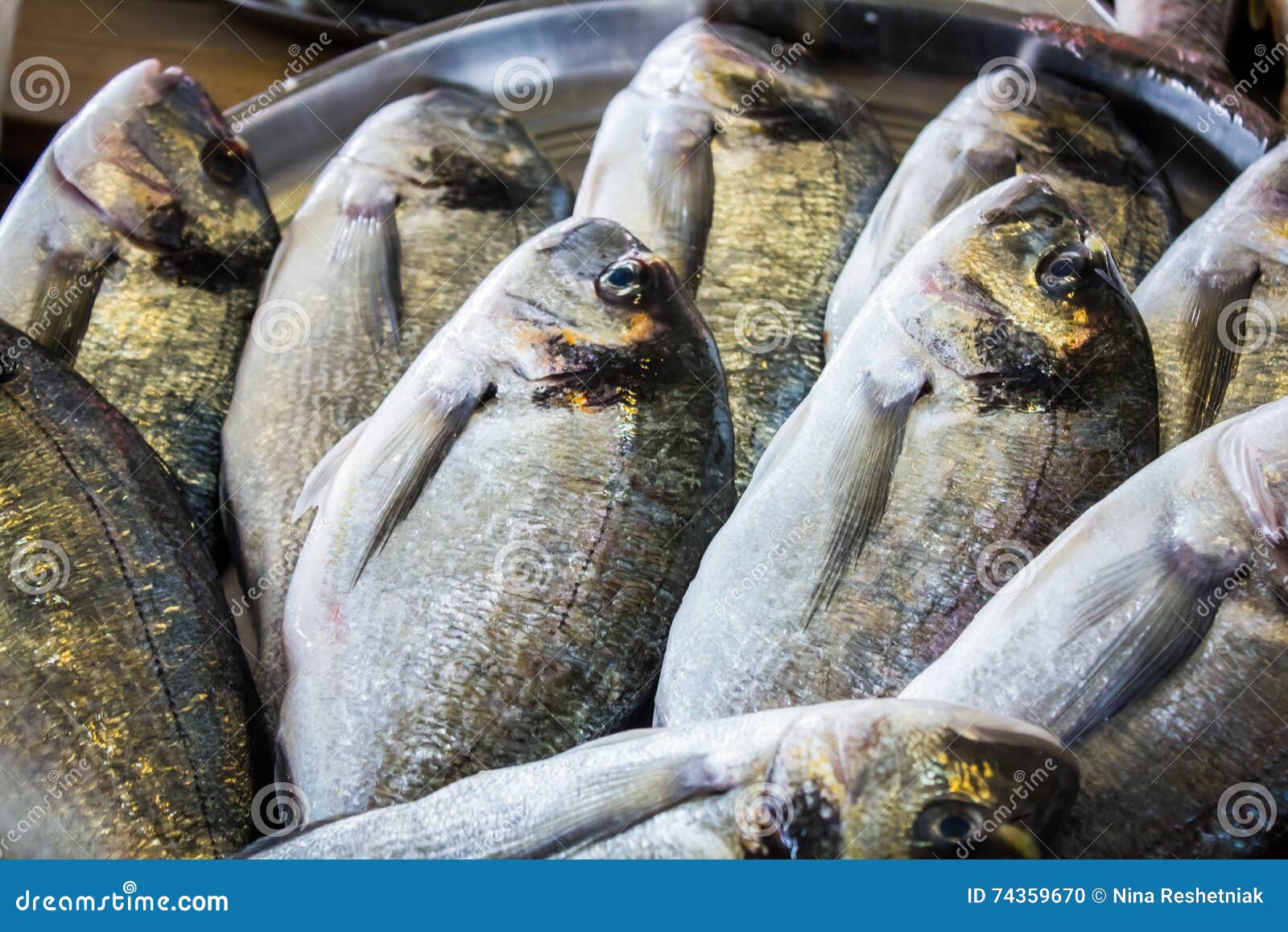 Fresh Fish in Different Sizes Laying on a Table Stock Photo - Image of ...