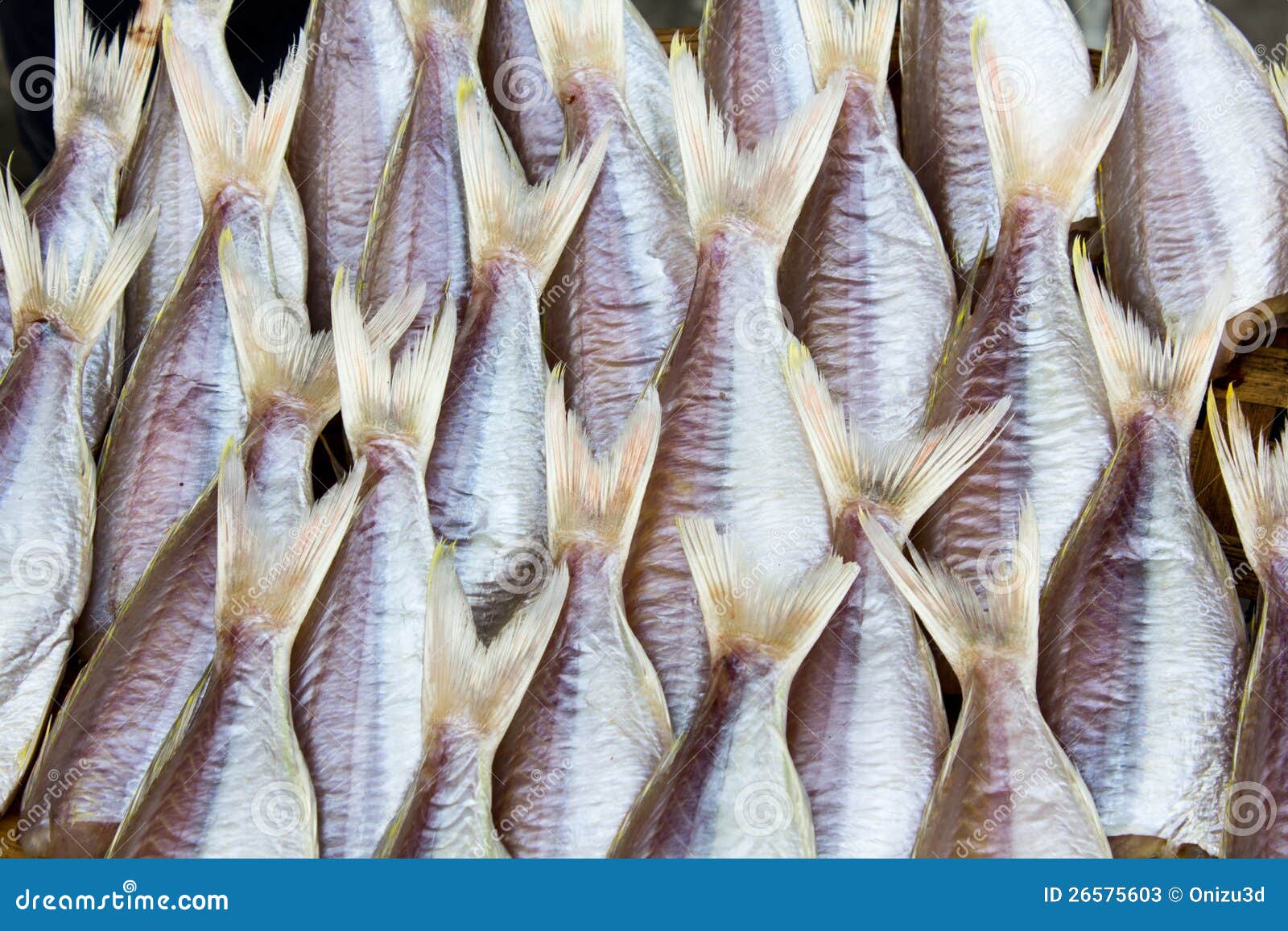 Fresh fish drying stock image. Image of preparation, closeup - 26575603