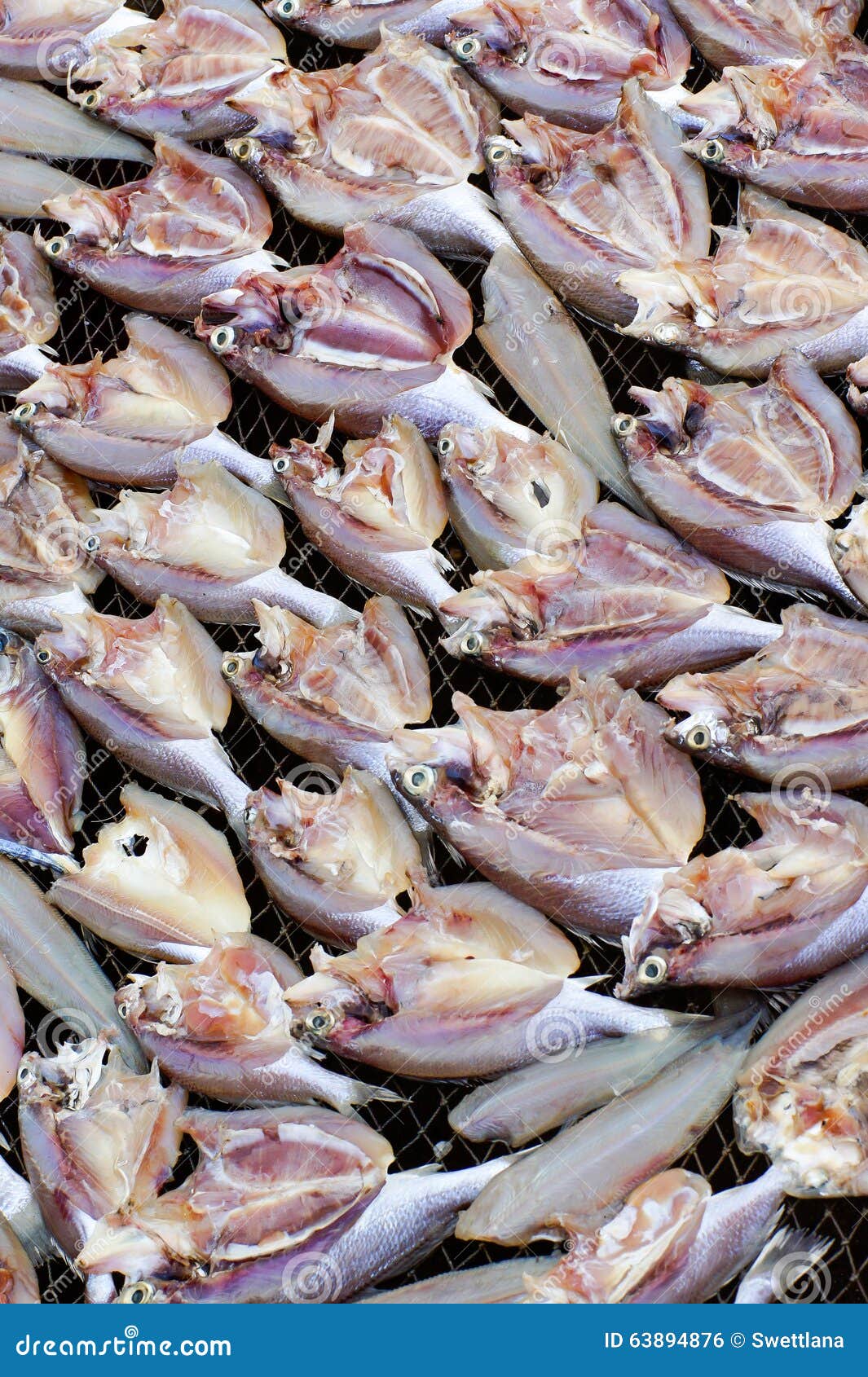 Fresh fish drying stock photo. Image of gastronomy, animal - 63894876