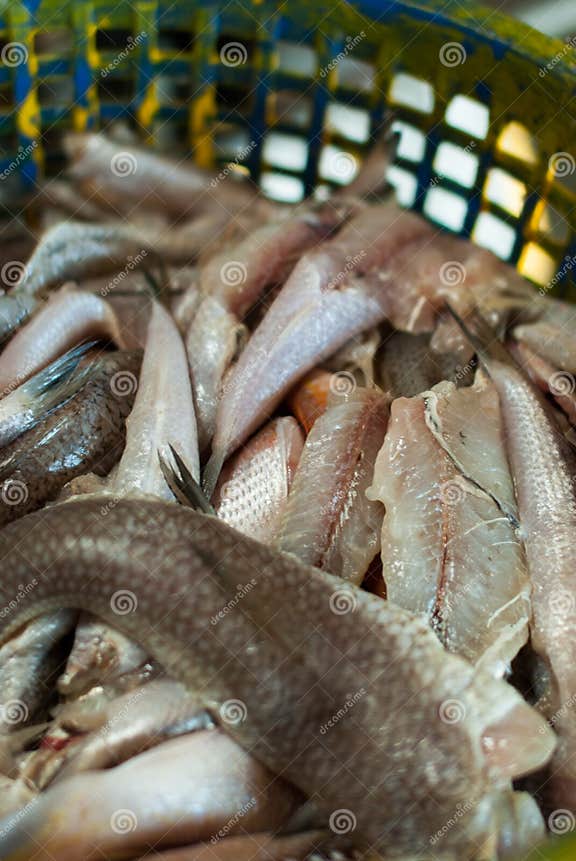 Fresh Fish for Fillet on a Basket Stock Photo - Image of preparation ...