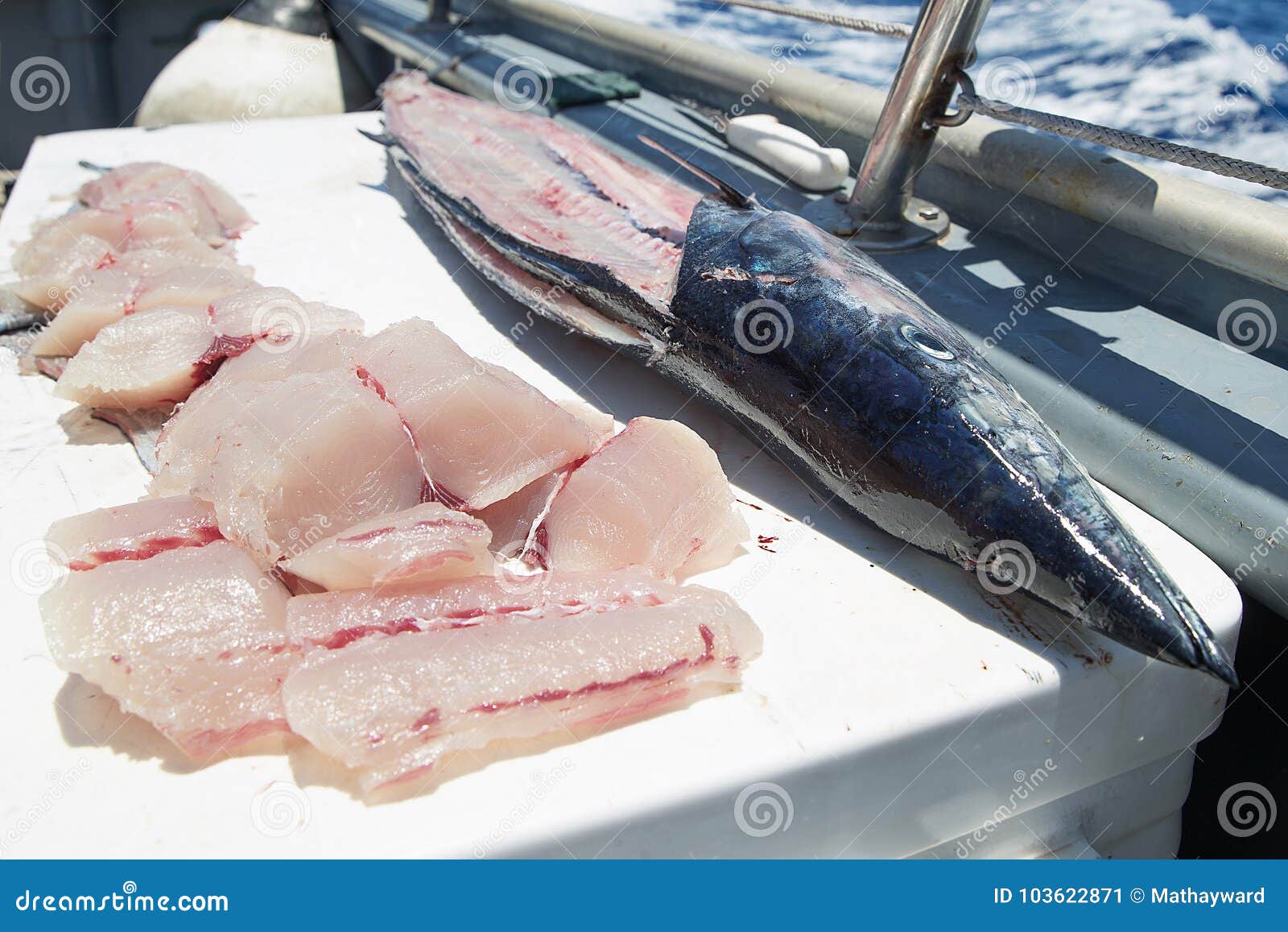 Fresh Cut Fish on an Ocean Charter Boat Stock Image - Image of boat ...