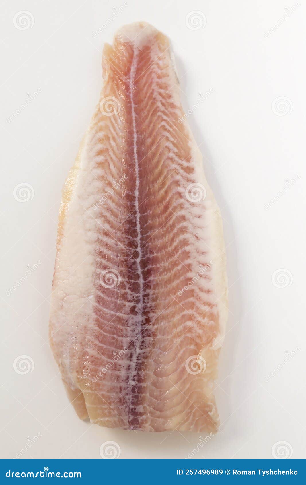 Fresh Fish Fillet. Top View Pangasius Fish Fillet Isolated on White ...