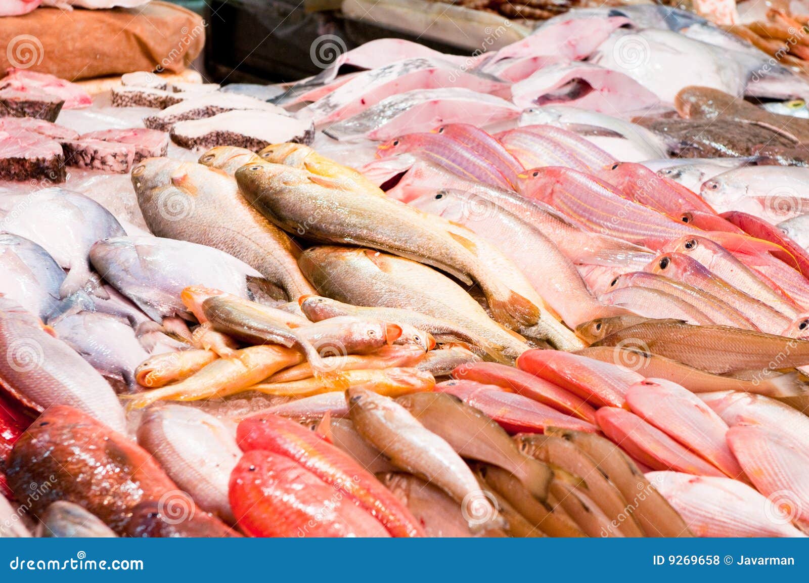 Fresh Fish at a Fish Market Stock Photo - Image of background, food ...