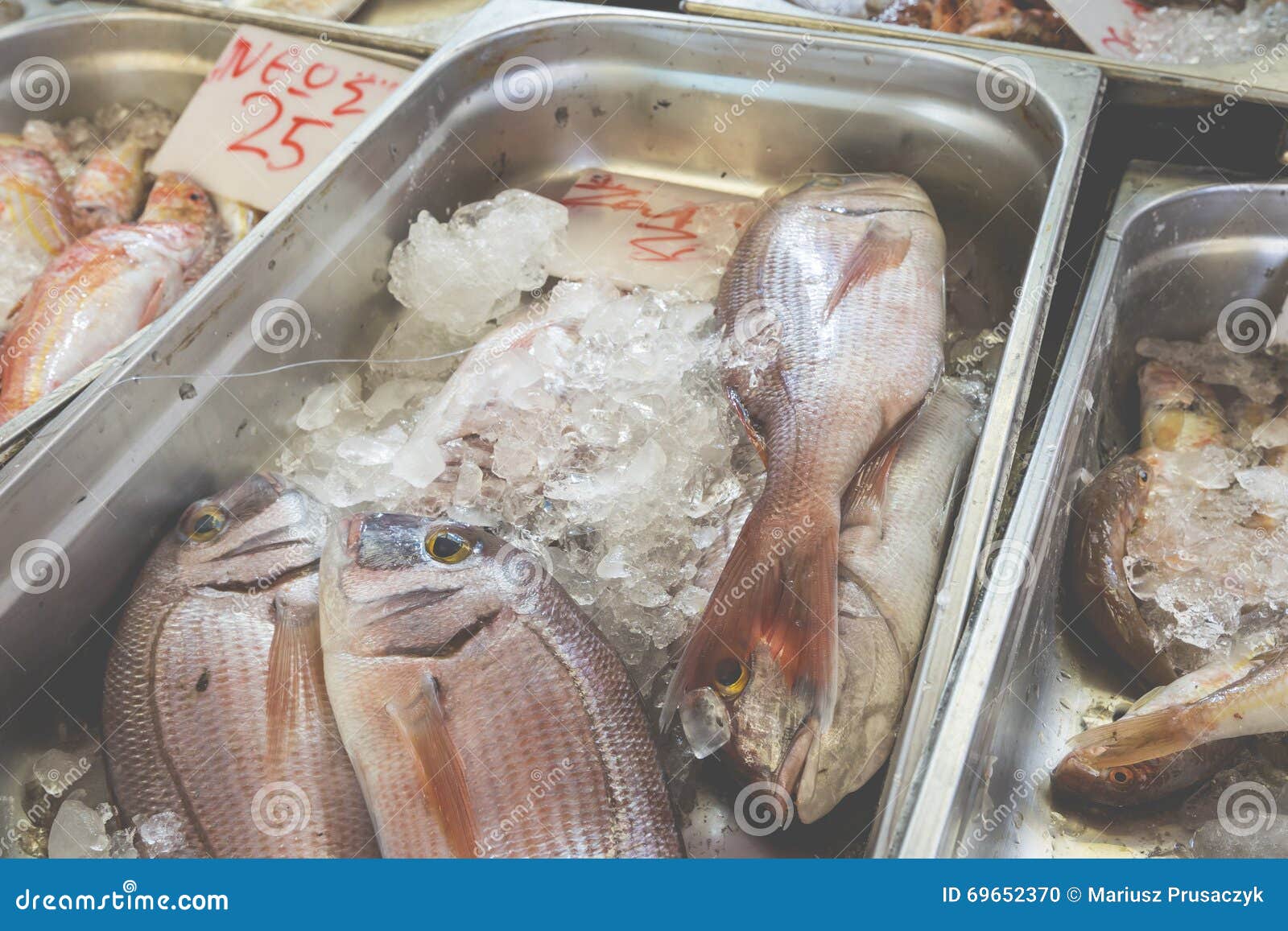 Fresh Fish in the Fish Market - Greece Stock Photo - Image of ...