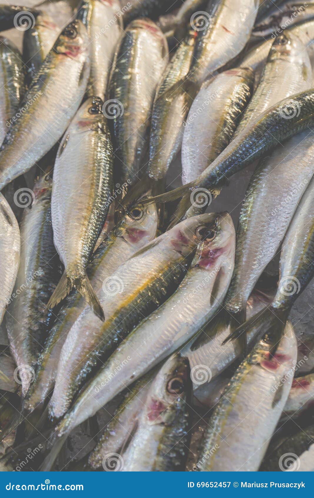Fresh Fish in the Fish Market - Greece Stock Image - Image of fish ...