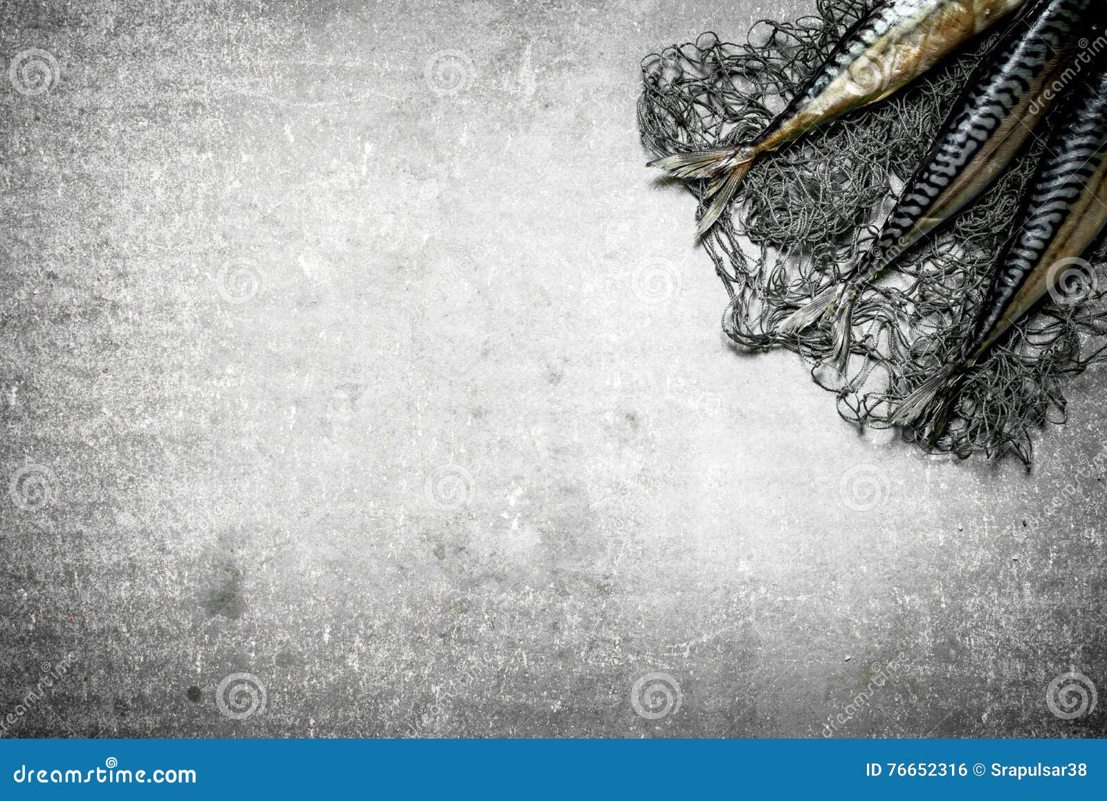 Fresh Fish with a Fishing Net. Stock Photo - Image of stone, space ...