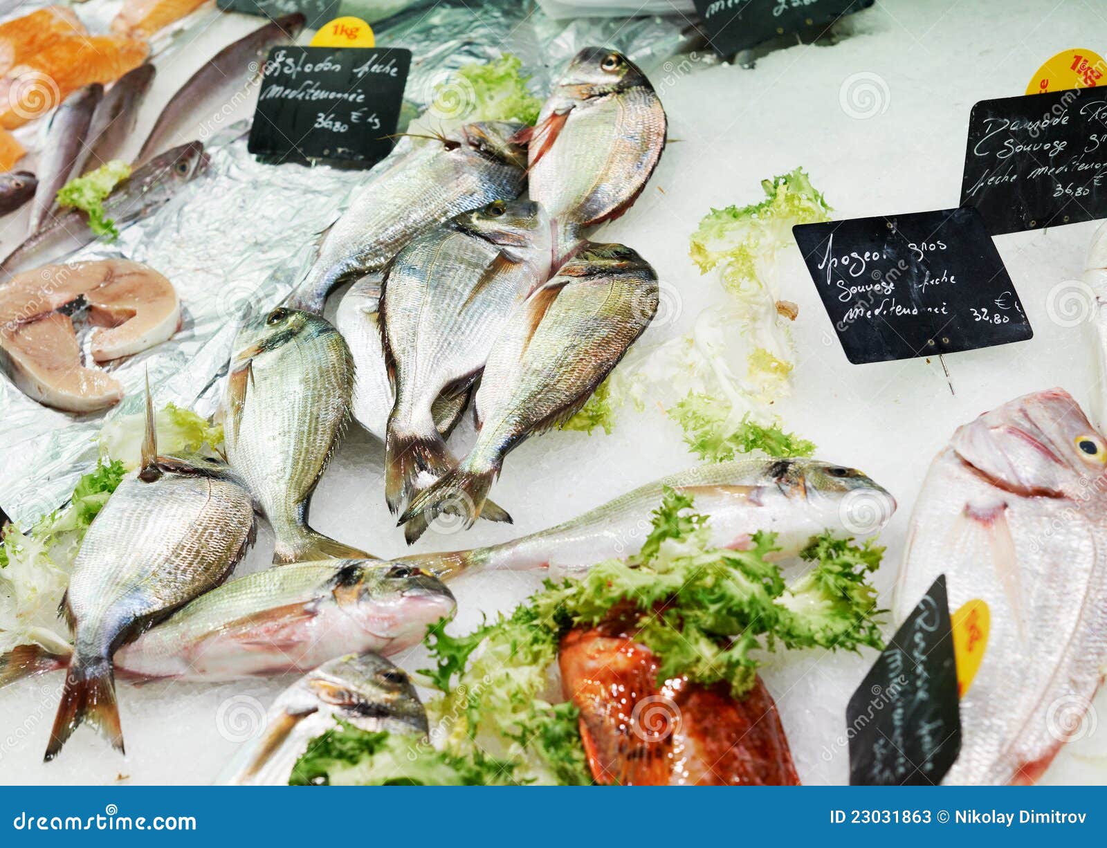 Fresh Fish on French Market Stock Image - Image of fresh, trade: 23031863