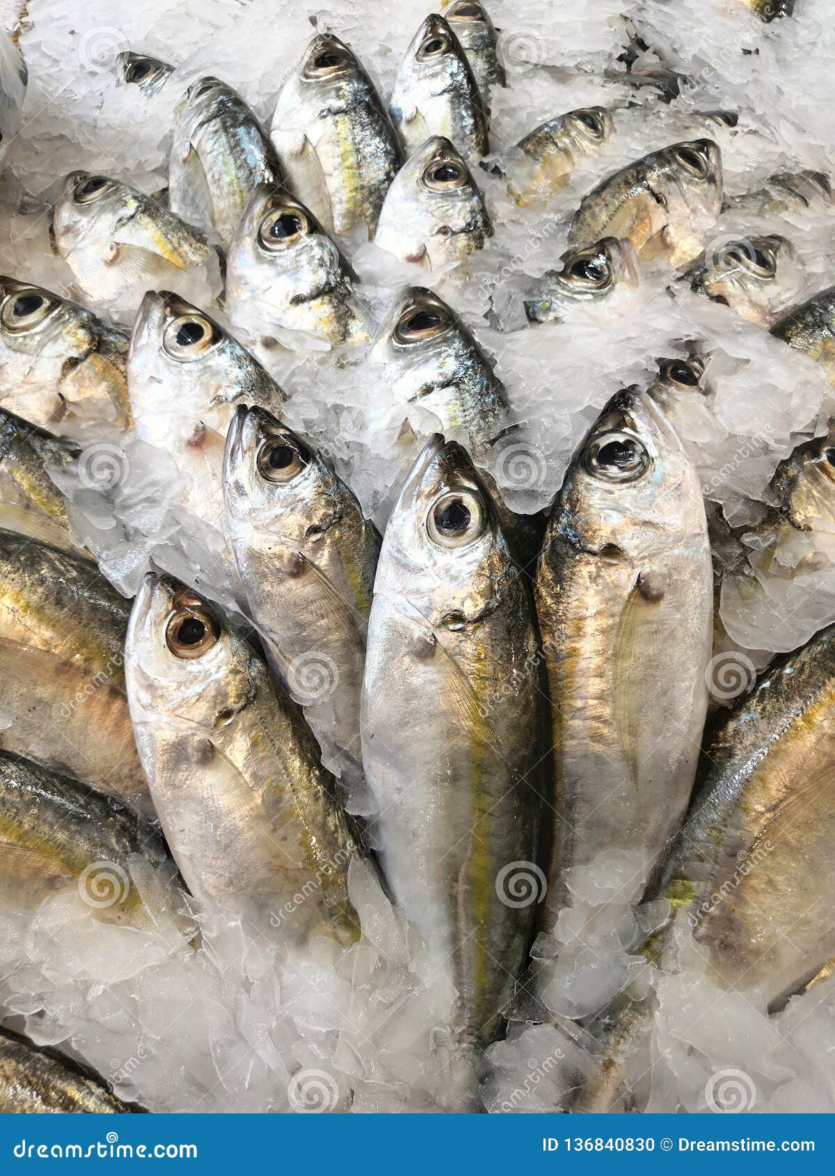 Fresh fish stock photo. Image of market, ocean, fresh - 136840830