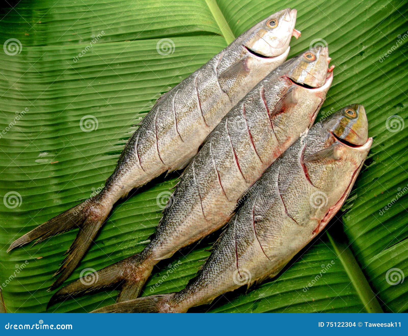 Fresh Fish on the Green Leaf Stock Photo - Image of three, scale: 75122304