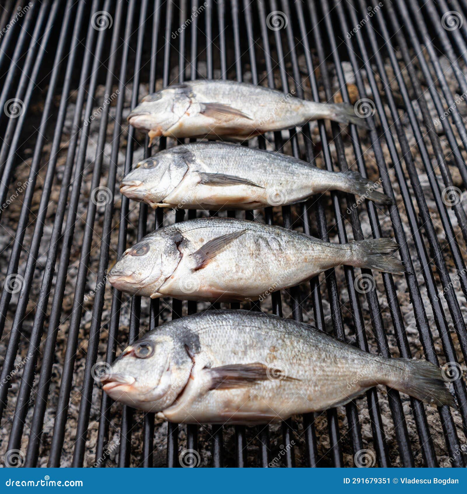 Fresh fish on grill stock image. Image of closeup, invertebrate - 291679351