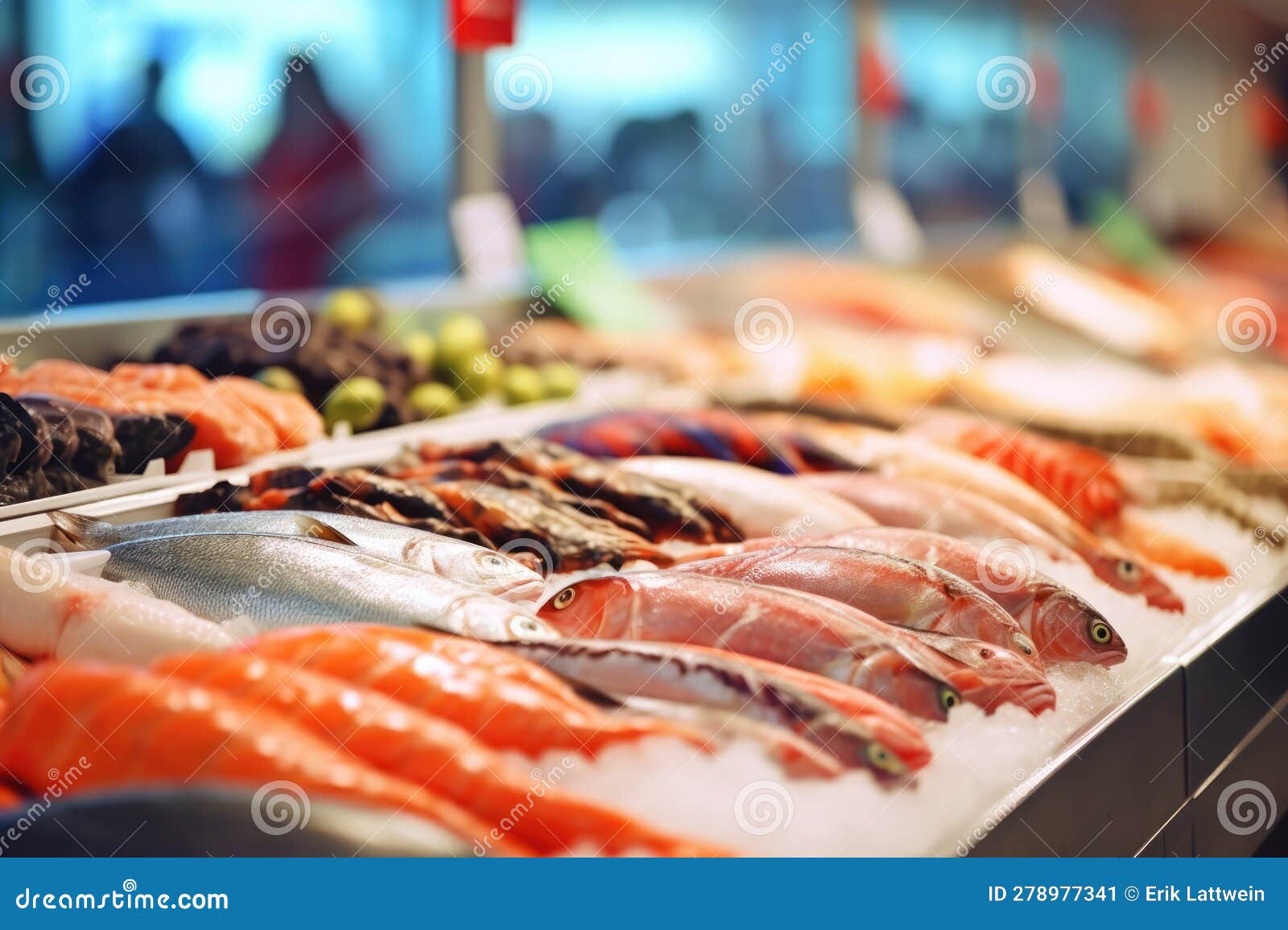 Fresh Fish in a Grocery Store in a Close-up Shot, Macro Shot - Made ...