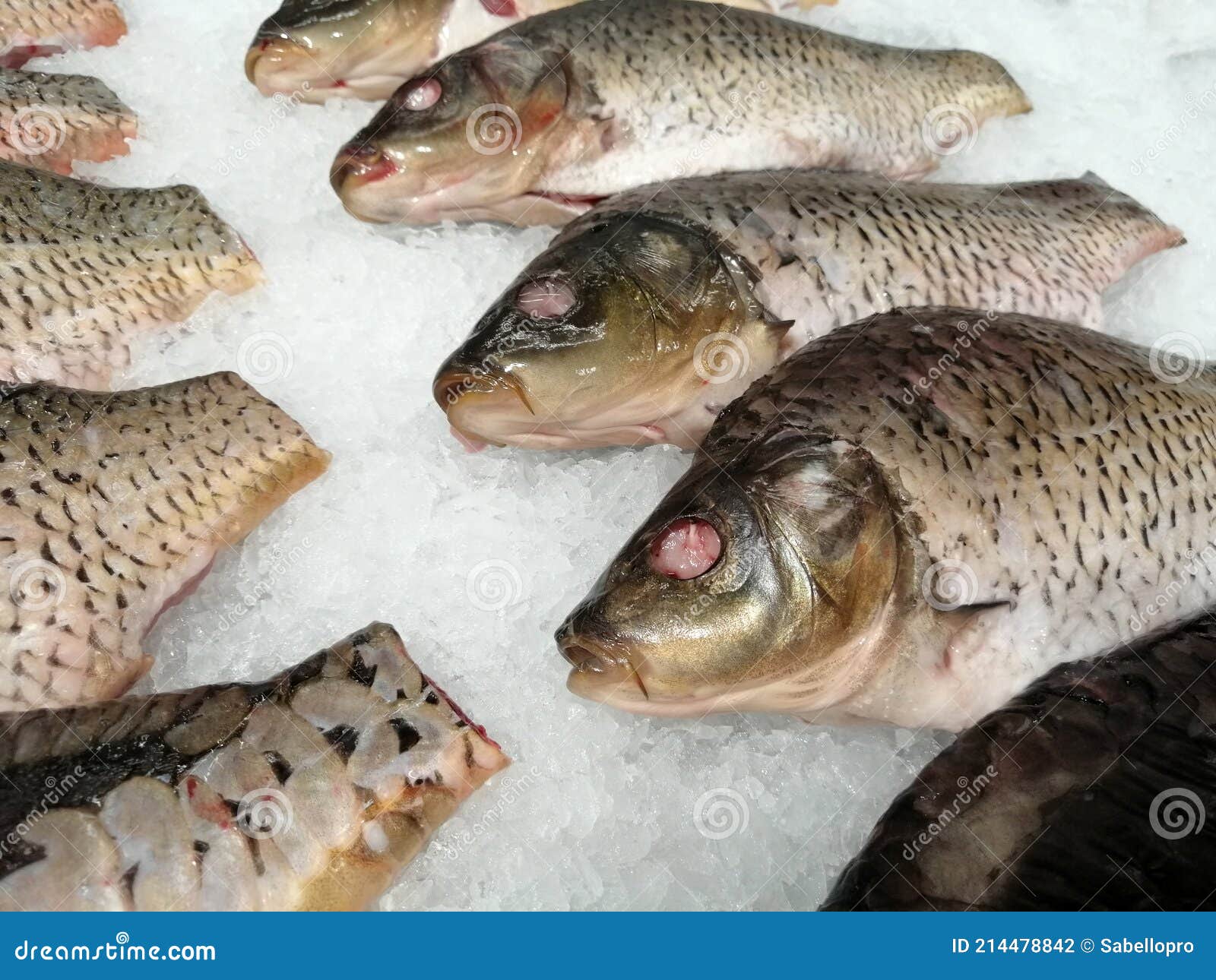 Cod Fish, Gutted And Split Open, Drying Outdoors On Wooden Slat Rack ...