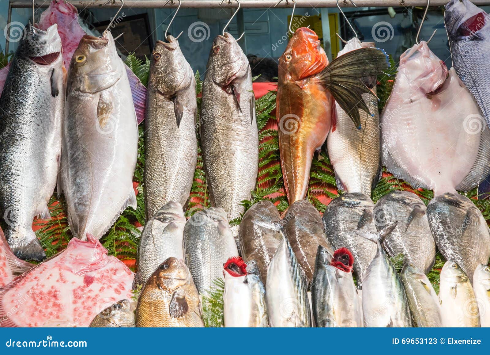 Fresh Fish Hanging on Hooks Stock Image - Image of kadikoy, ingredient ...