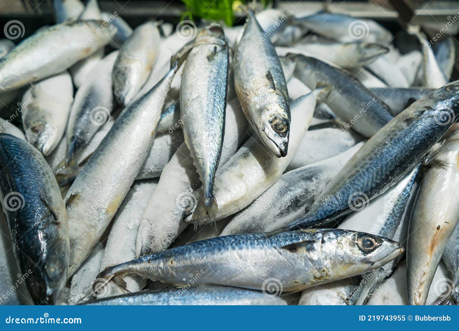 Fresh Fish on Ice Display in a Supermarket Stock Image - Image of catch ...