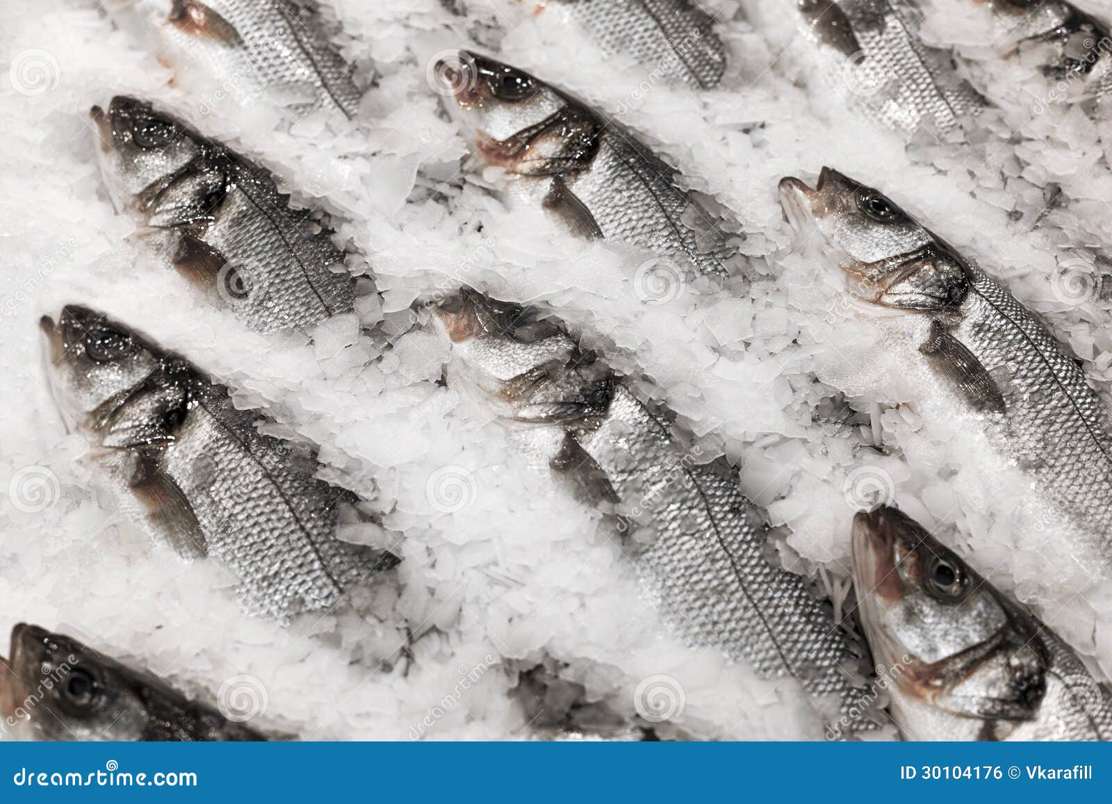 Fresh fish on ice stock photo. Image of fishing, calmar - 30104176