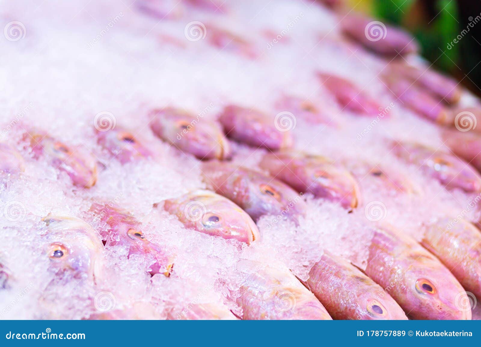 Fresh Fish on Ice in a Seafood Shop Store Stock Image - Image of ...