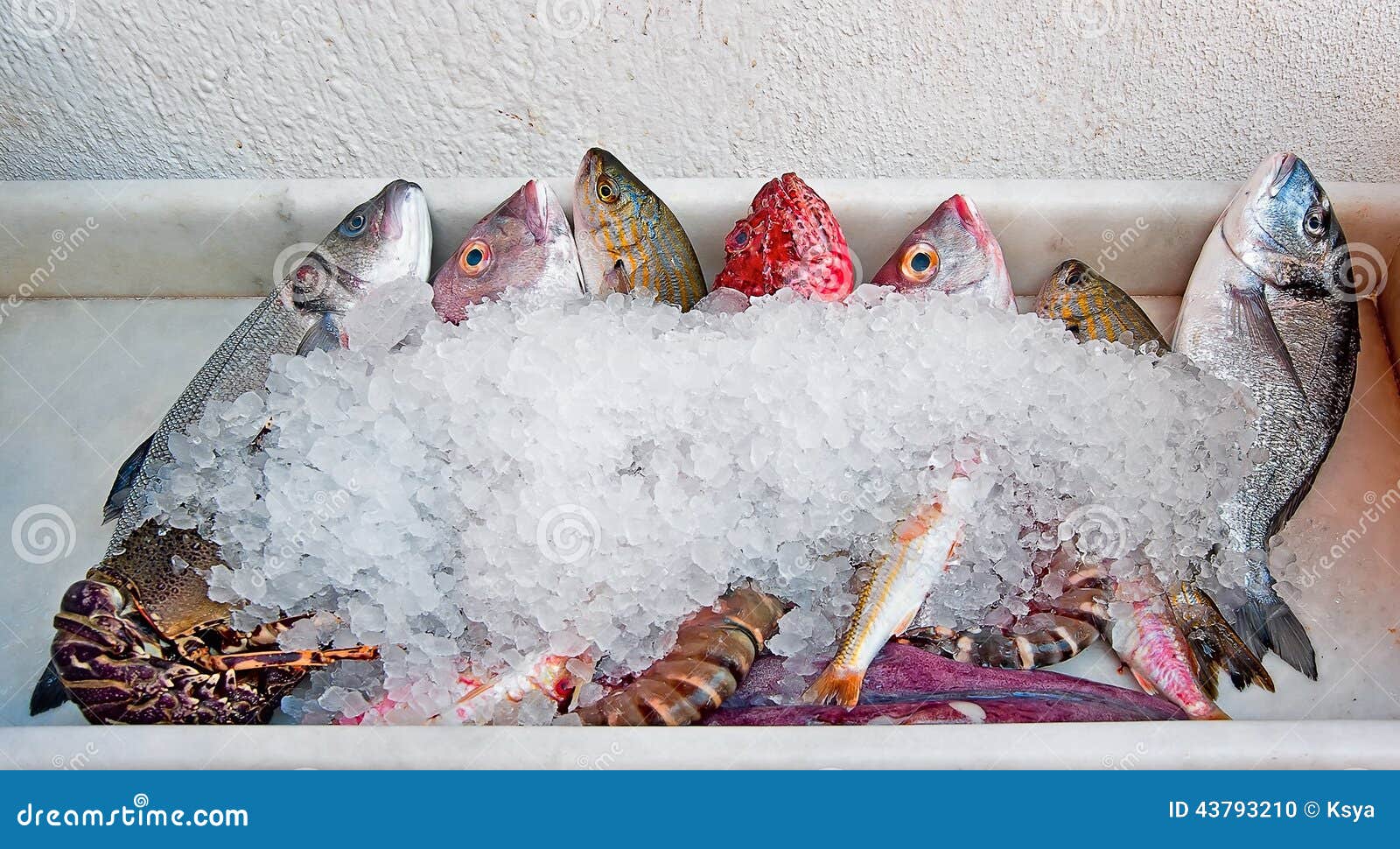 Fresh Fish with Ice on the Tray Stock Photo - Image of cool, cover ...