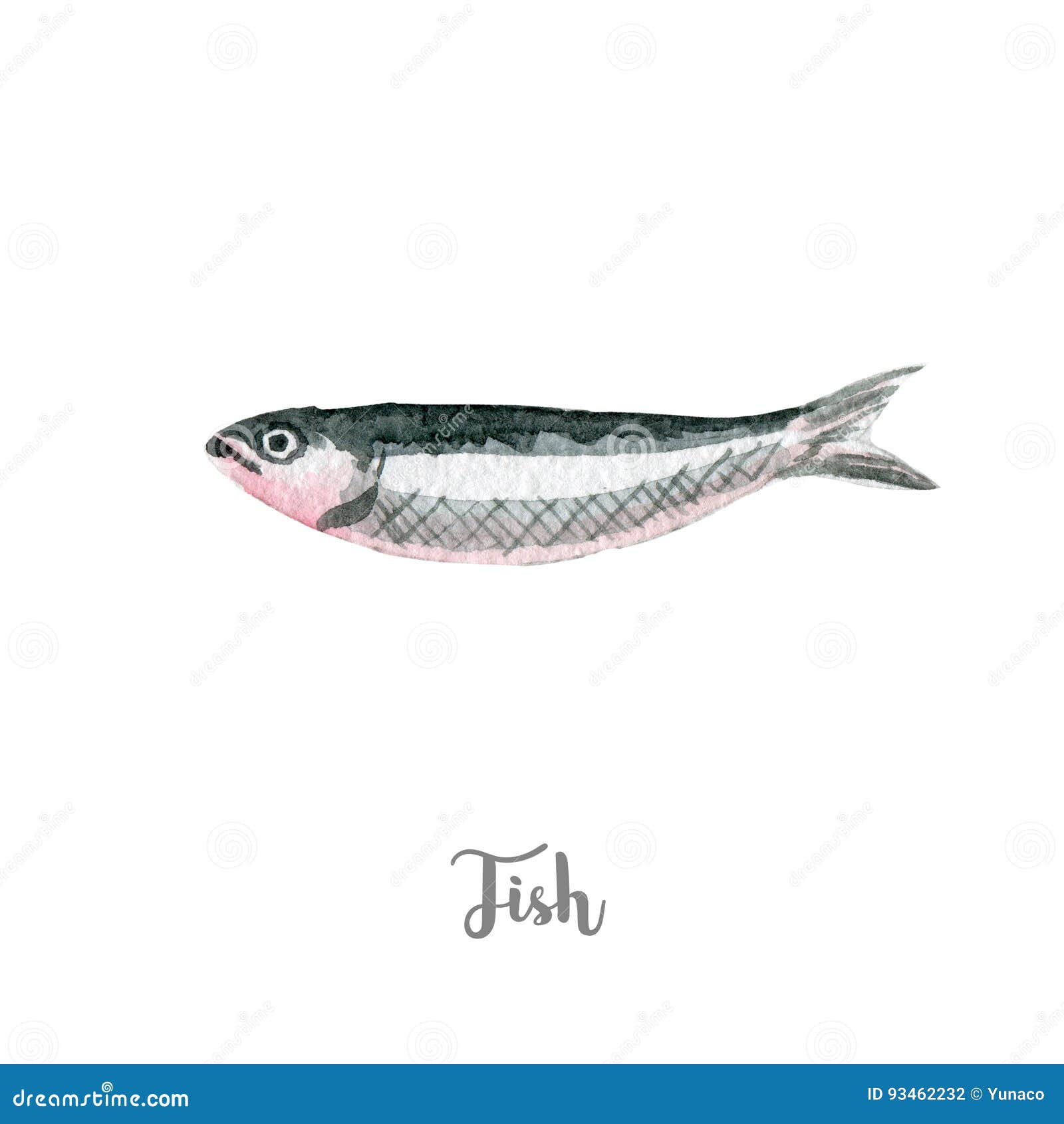 Fresh Fish Illustration. Hand Drawn Watercolor on White Background ...