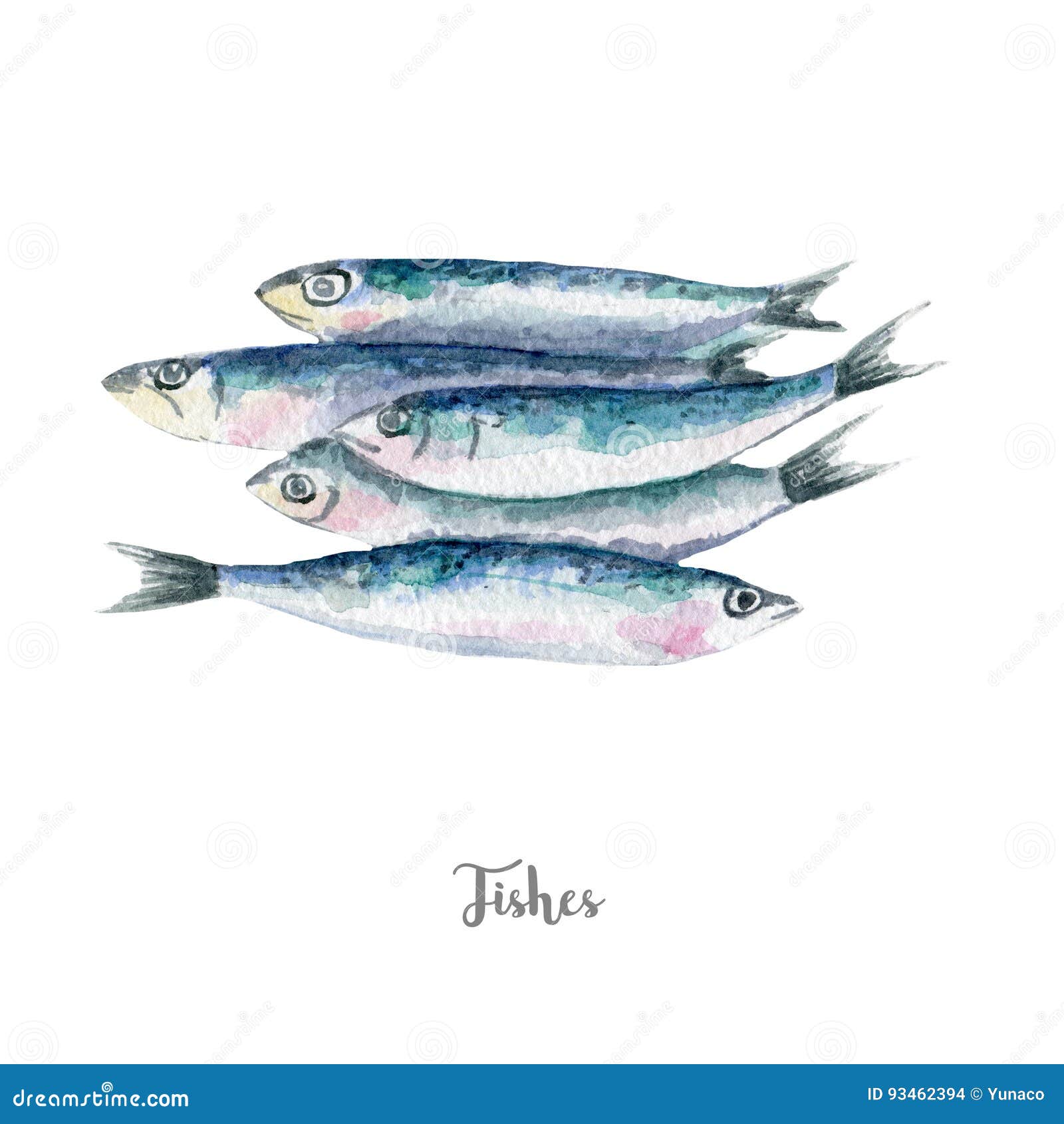 Fresh Fish Illustration. Hand Drawn Watercolor on White Background ...