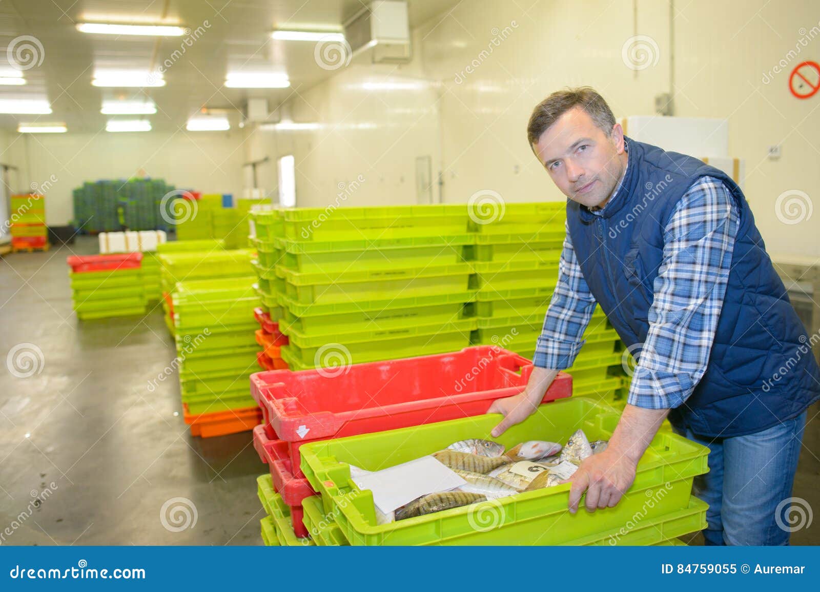 Fresh fish inside crate stock image. Image of work, piles - 84759055
