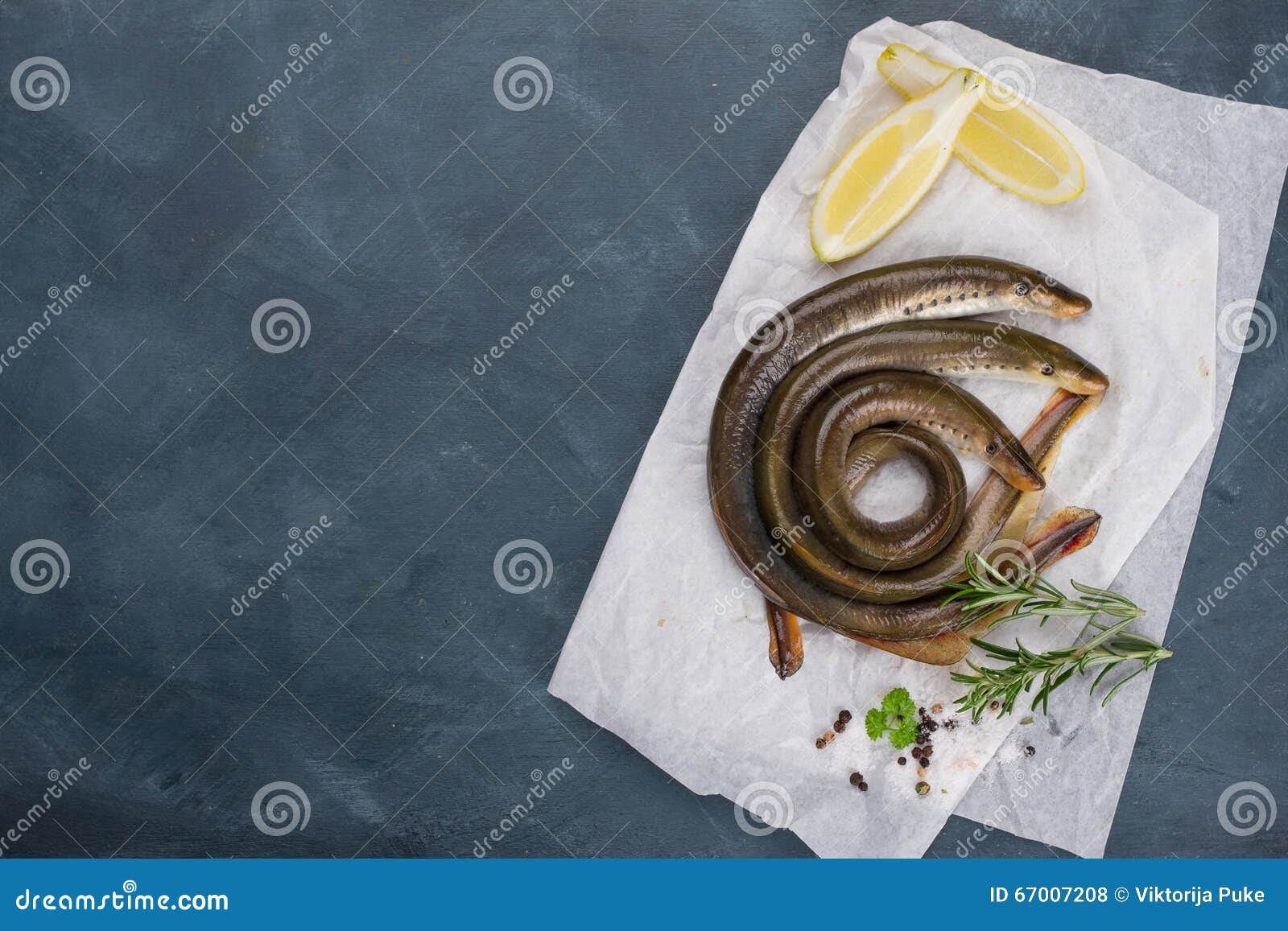 Fresh fish lamprey stock photo. Image of delicacy, rosemary - 67007208