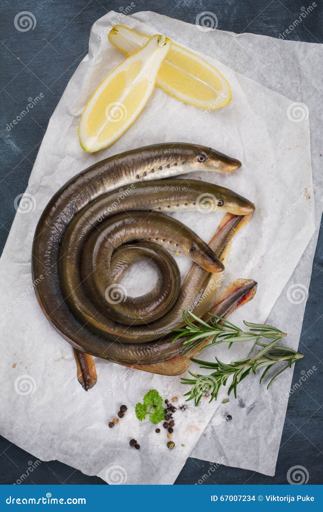 Fresh fish lamprey stock photo. Image of rosemary, seafood - 67007234