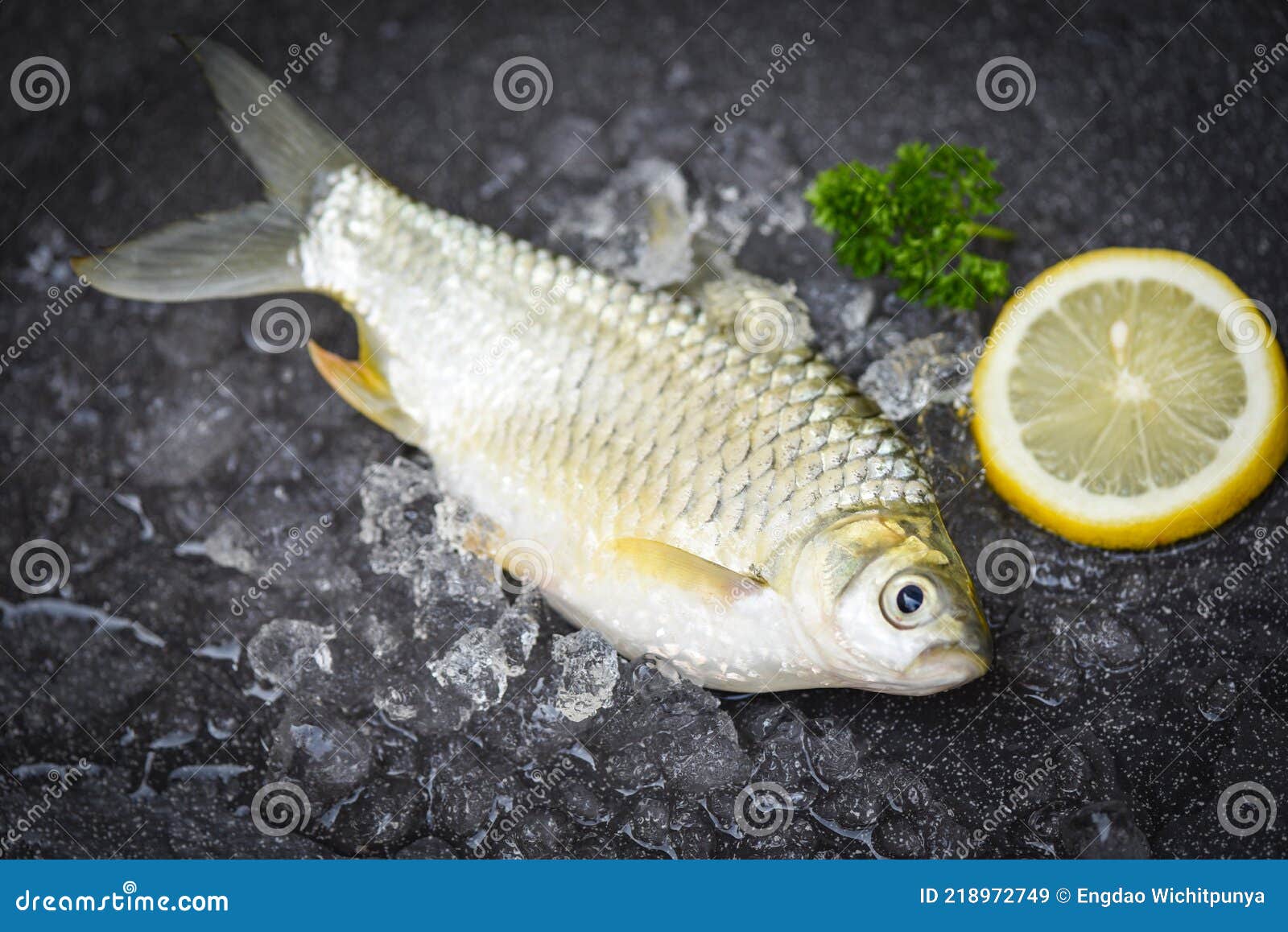 Fresh Fish Lemon Top View, Silver Barb Fish on Ice, Java Barb Carp Fish ...