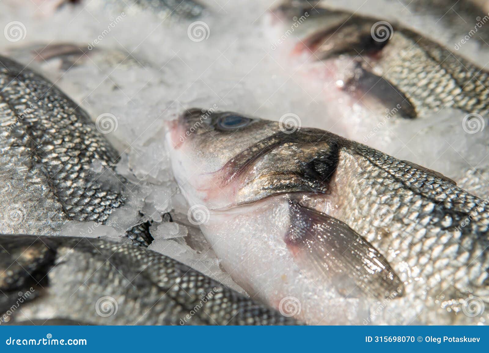 Fresh Fish Lies on Ice in a Supermarket Stock Photo - Image of diet ...