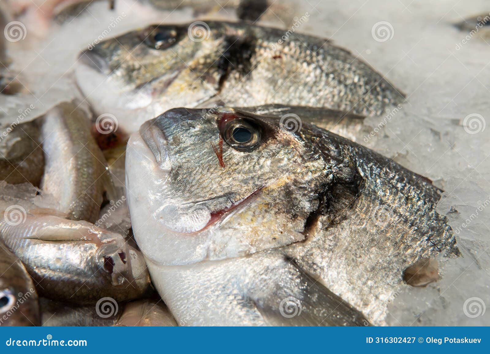 Fresh Fish Lies on Ice in a Supermarket Stock Image - Image of selling ...