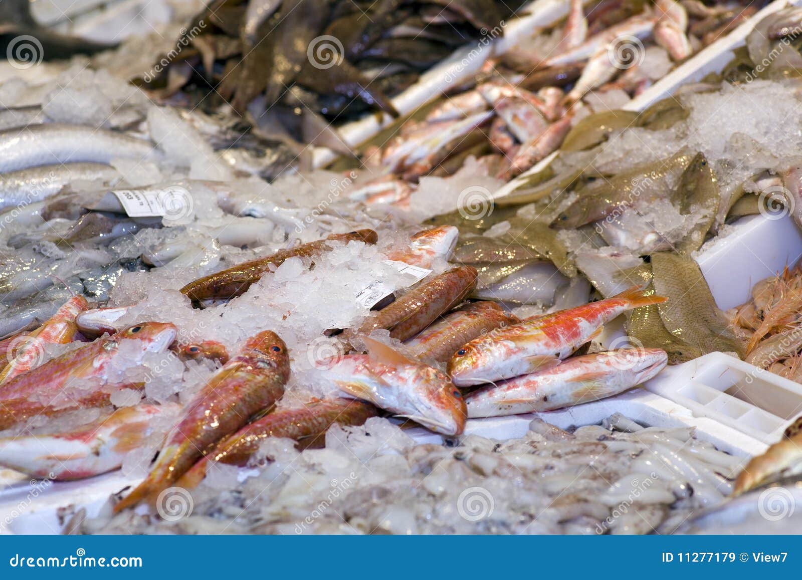 Fresh fish at market stock image. Image of fish, market - 11277179