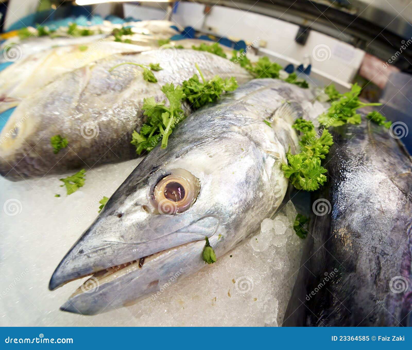 Fresh Fish at the market stock image. Image of organic - 23364585