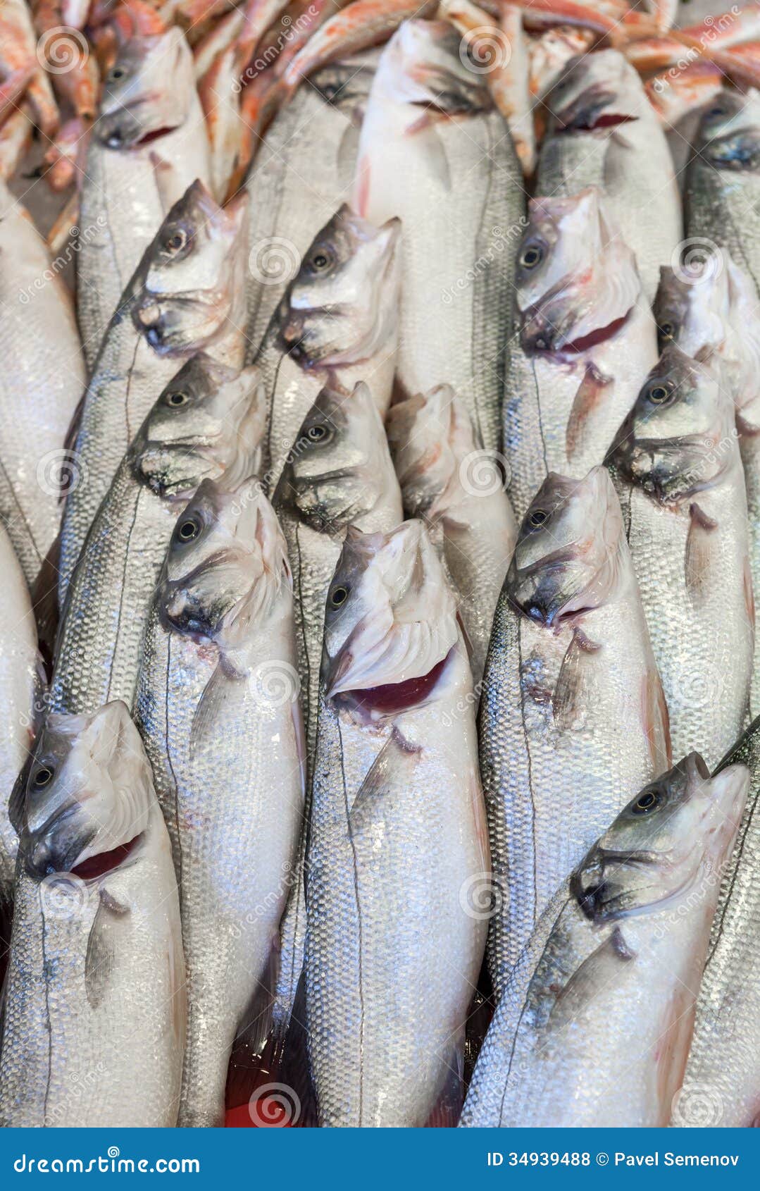 Fresh fish stock photo. Image of eating, closeup, ingredient - 34939488