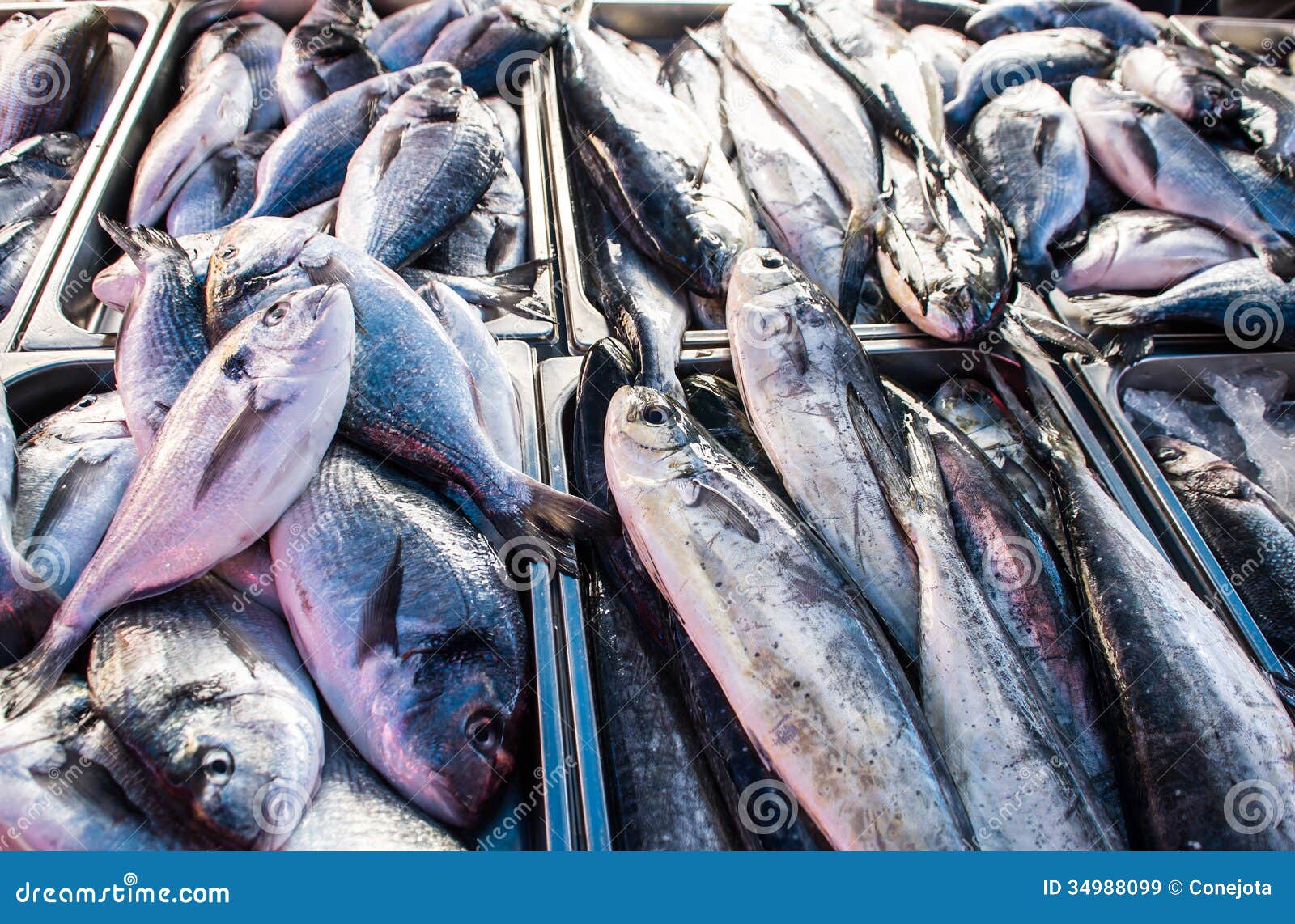 Fresh Fish stock image. Image of meal, gold, closeup - 34988099