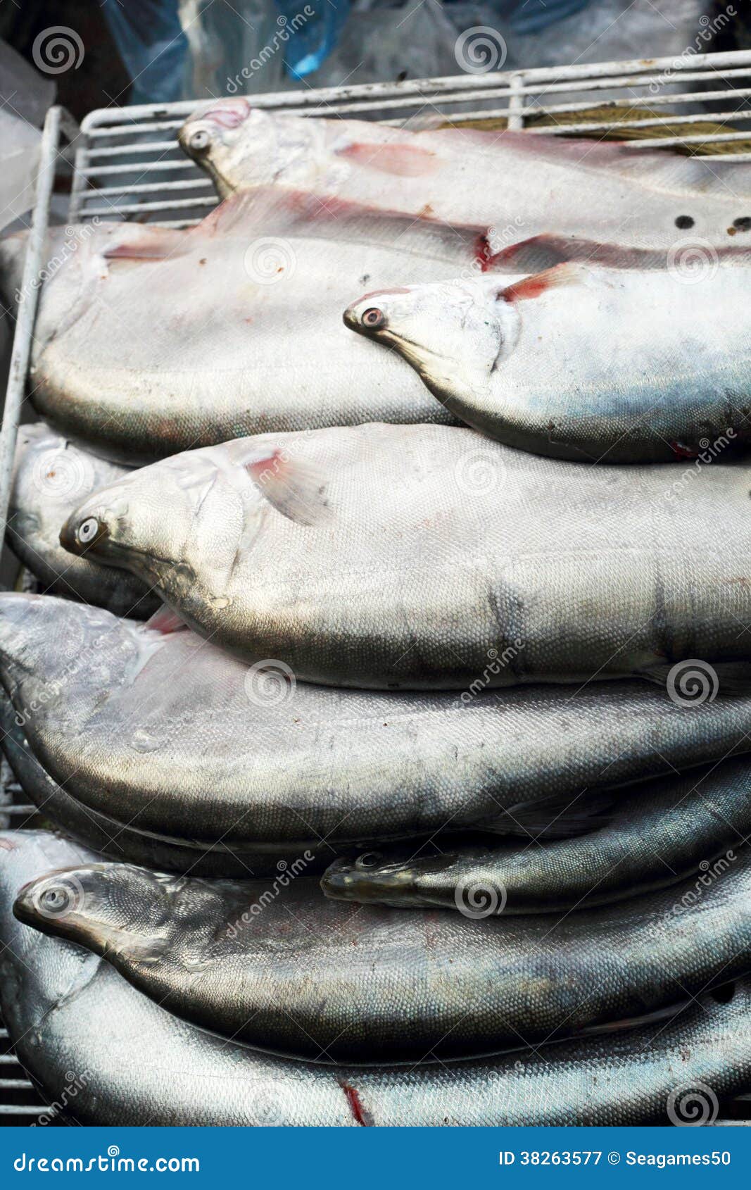 Fresh fish in the market. stock image. Image of asian - 38263577