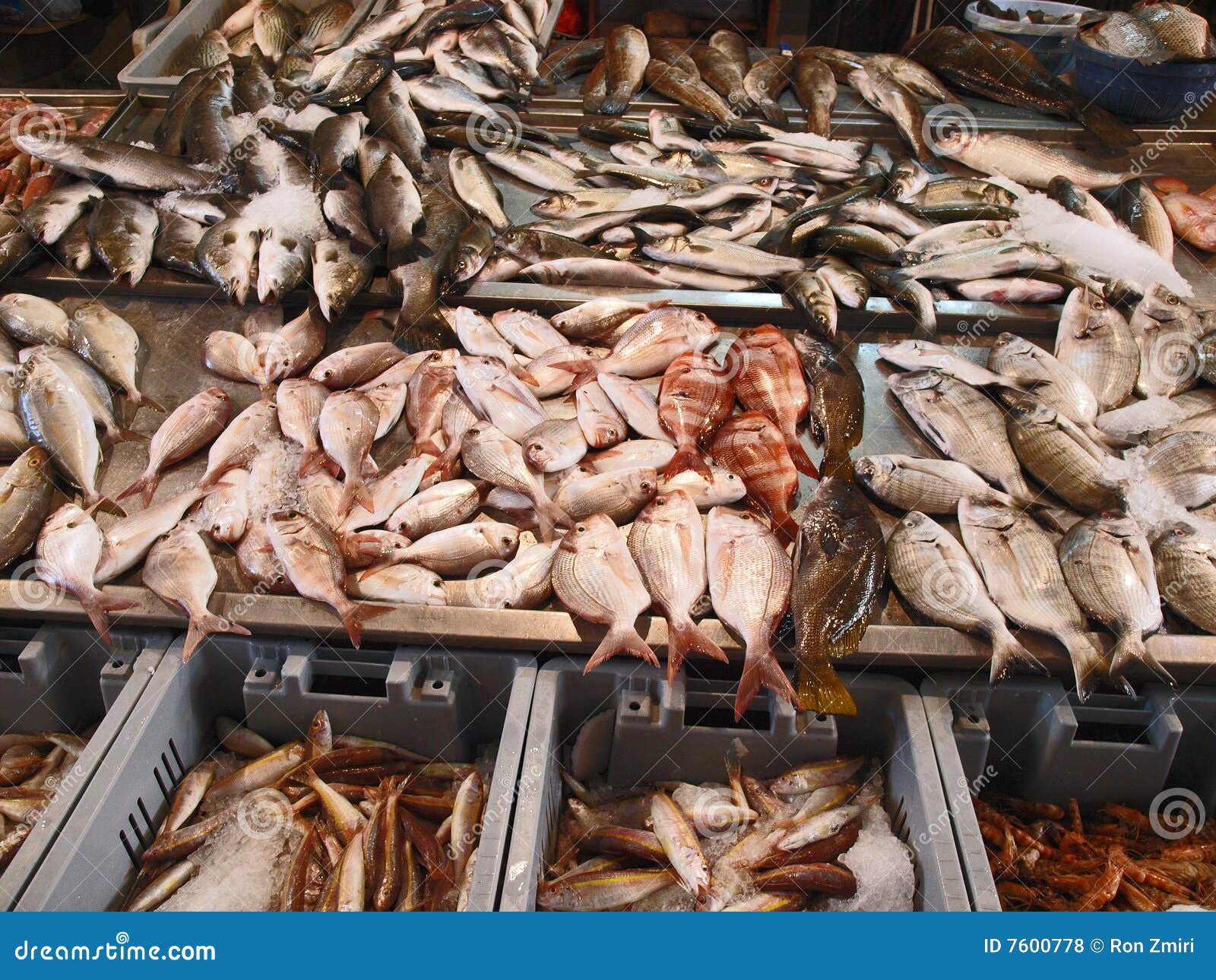 Fresh fish in the market stock photo. Image of prepared - 7600778