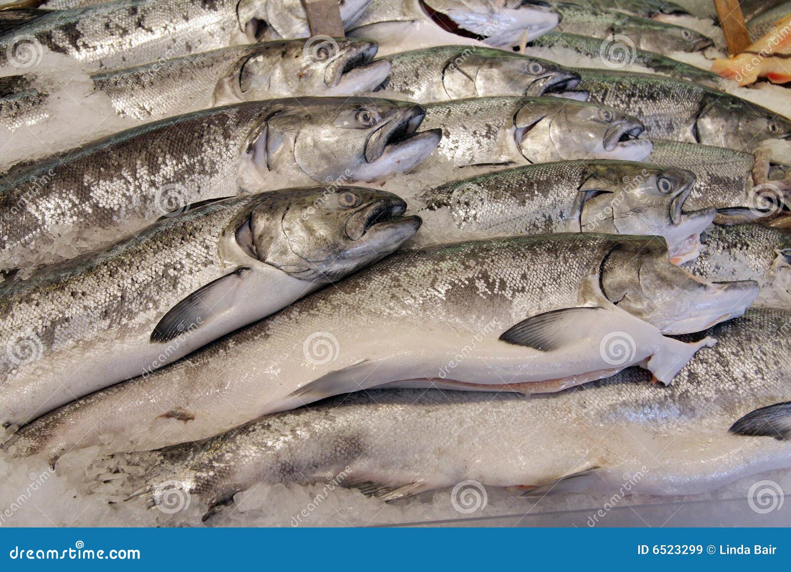 Fresh Fish Market Fresh Fish Market Stock Image - Image of background ...
