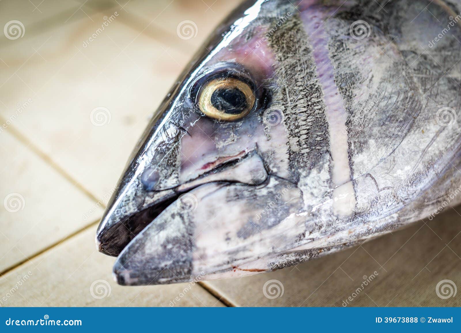 Fresh fish stock photo. Image of muscat, cook, organic - 39673888