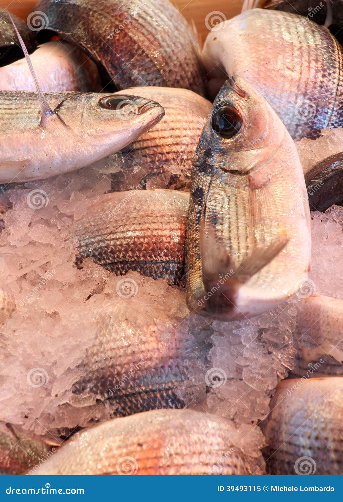 Fresh fish at the market stock image. Image of fresh - 39493115