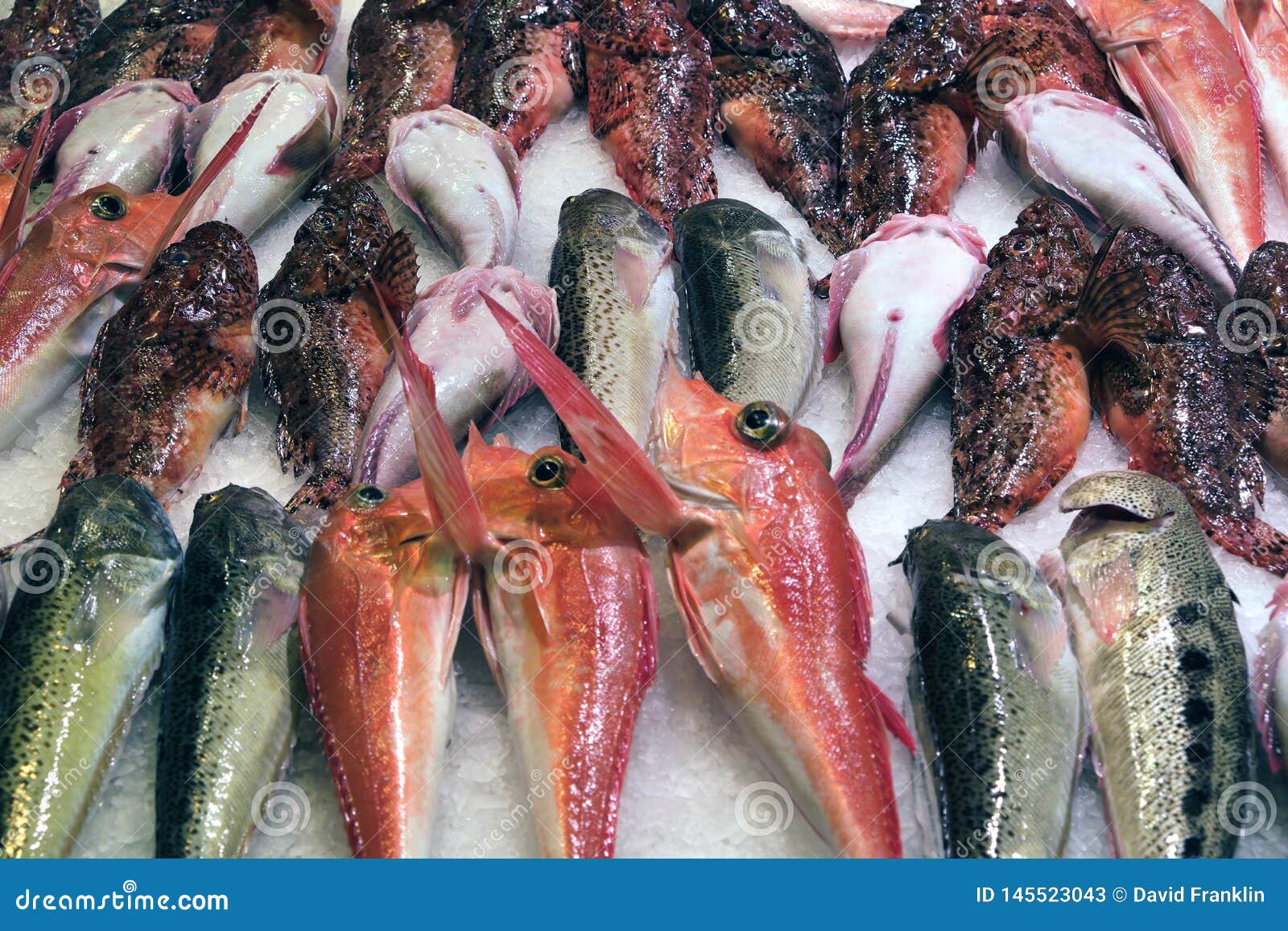 Fresh Fish Farmers Market Stall Display Palma Mallorca Spain Stock ...
