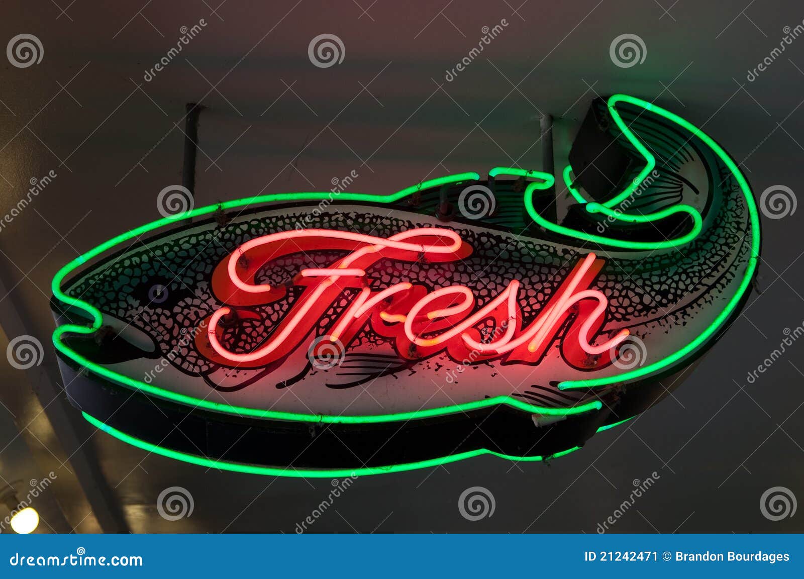 Fresh Fish Neon Sign stock image. Image of seattle, fishing - 21242471