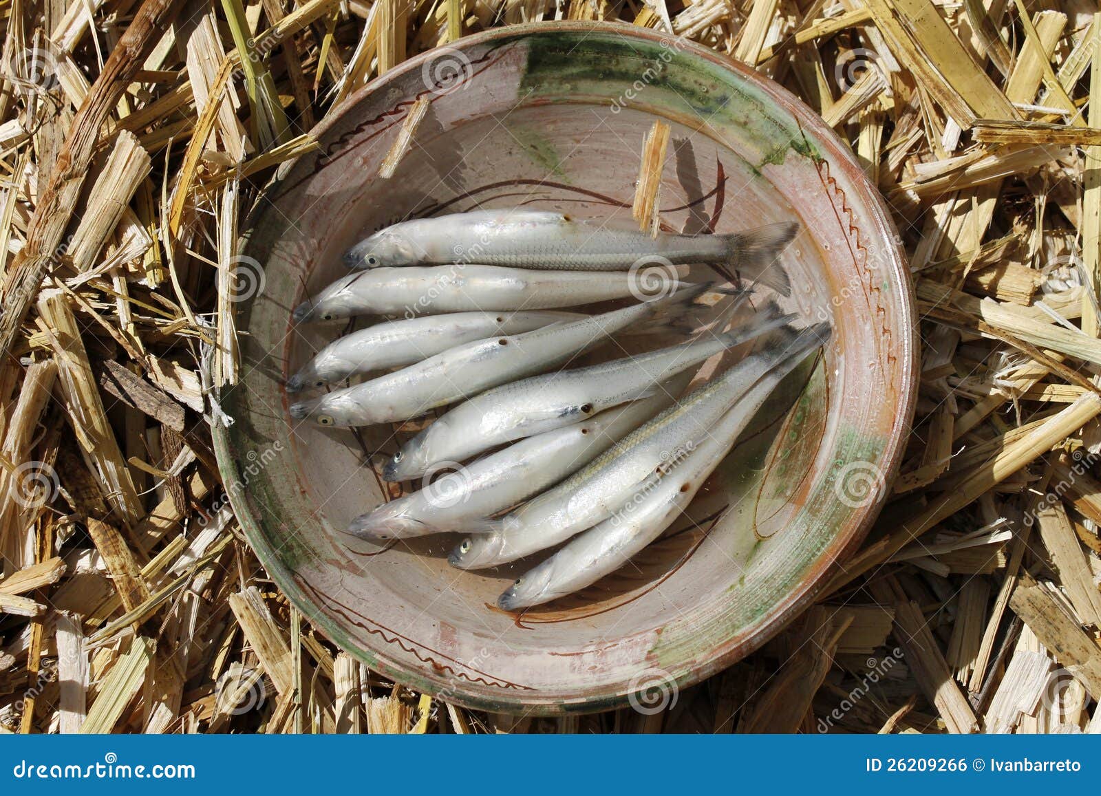 Fresh Fish in Peruvian Andes. Stock Photo - Image of andes, peru: 26209266